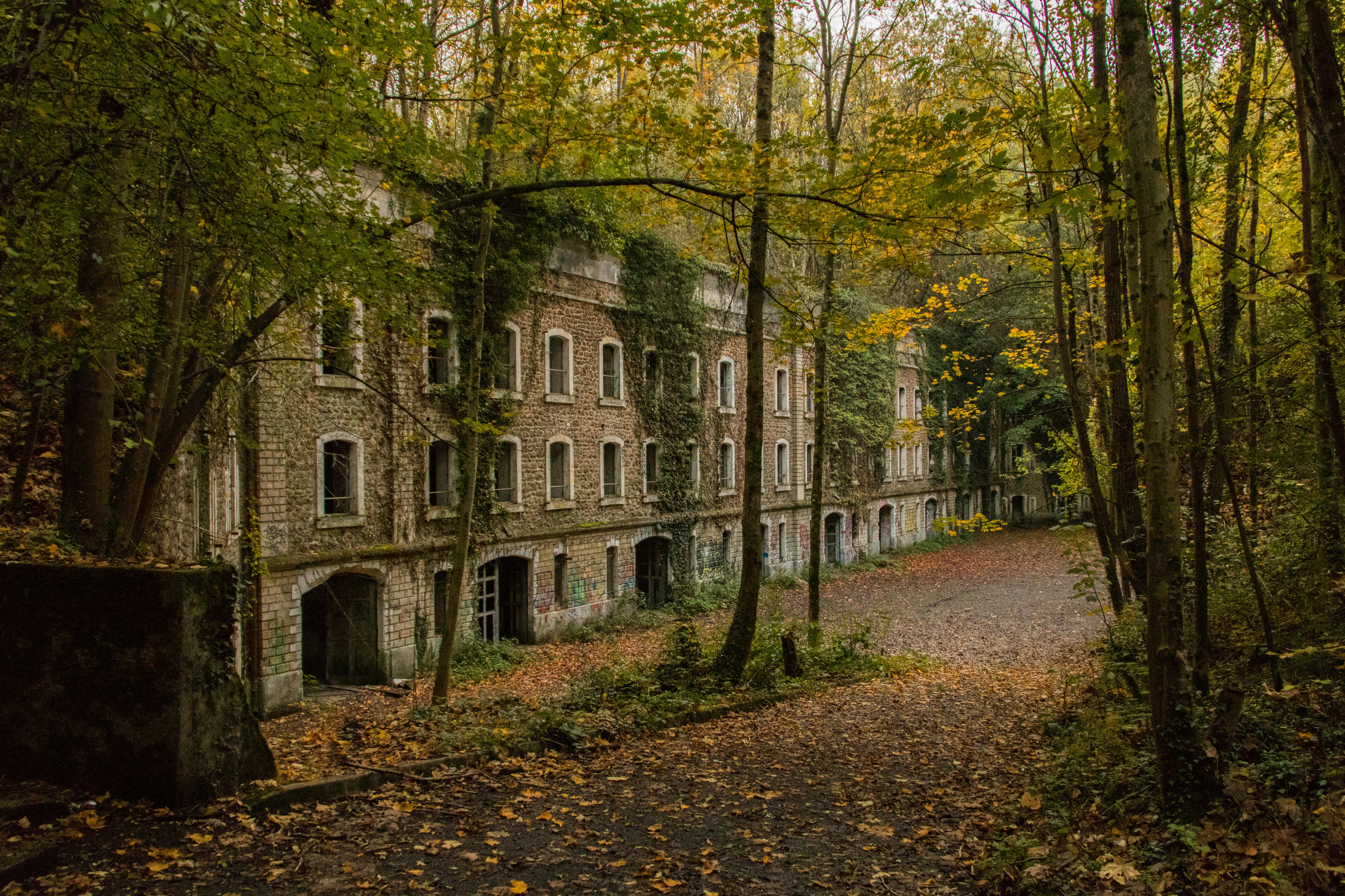 Driveway of an Abandoned Building · Free Stock Photo