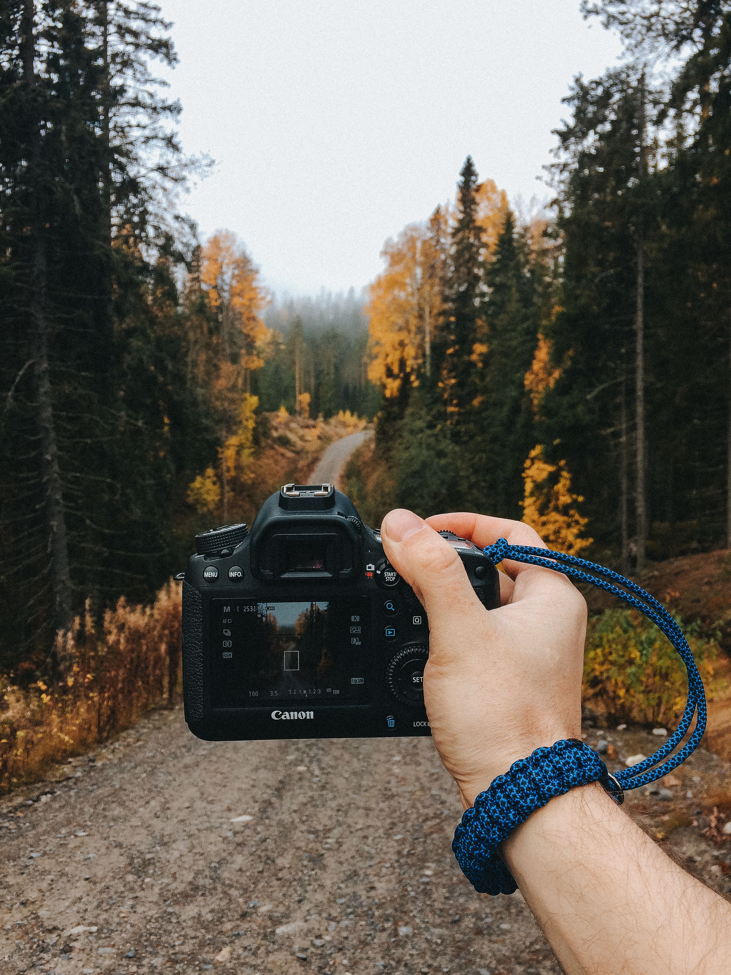 Electronics Path Photos, Download The BEST Free Electronics Path Stock ...