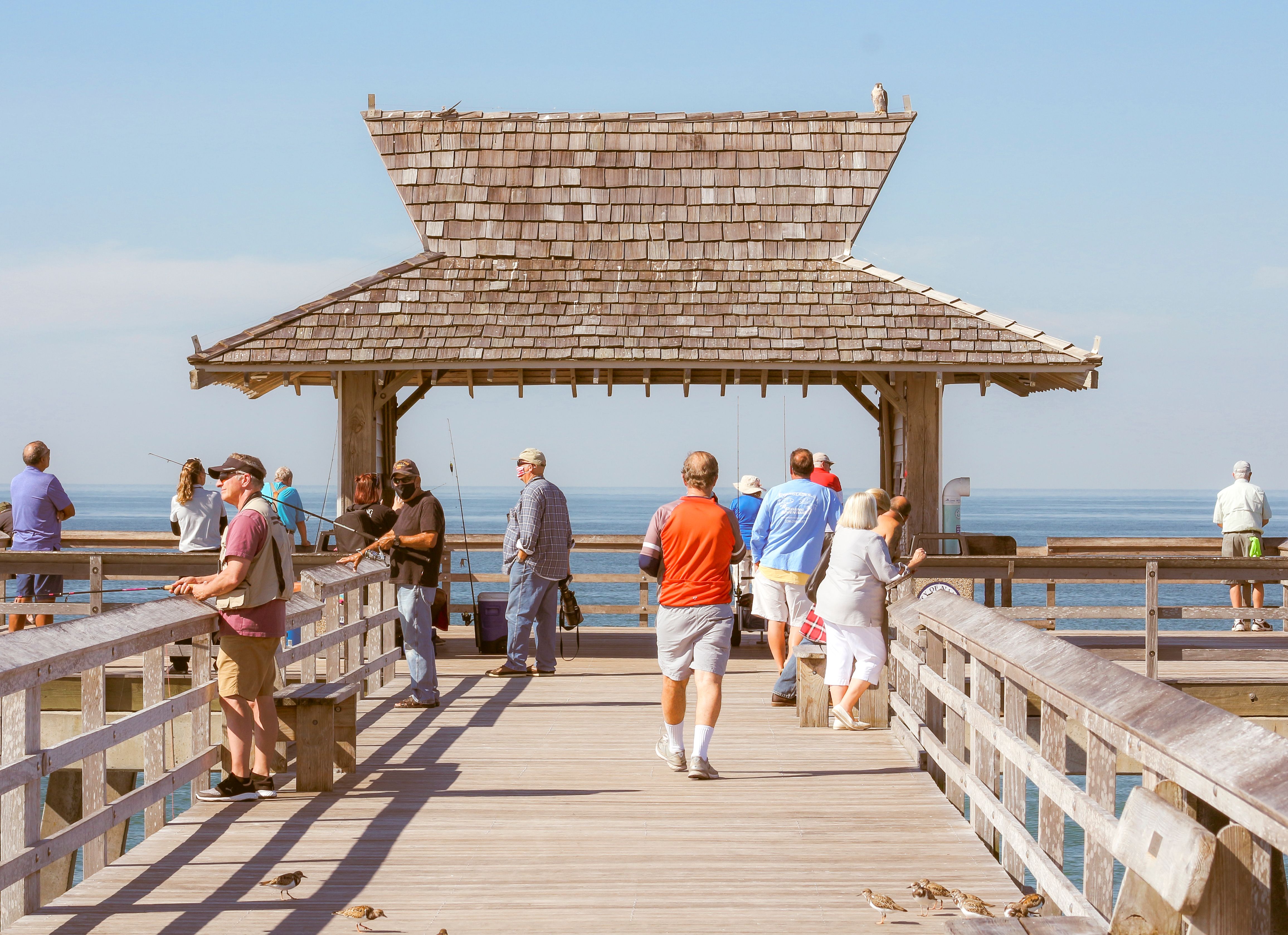 People Recreation on the Boardwalk · Free Stock Photo
