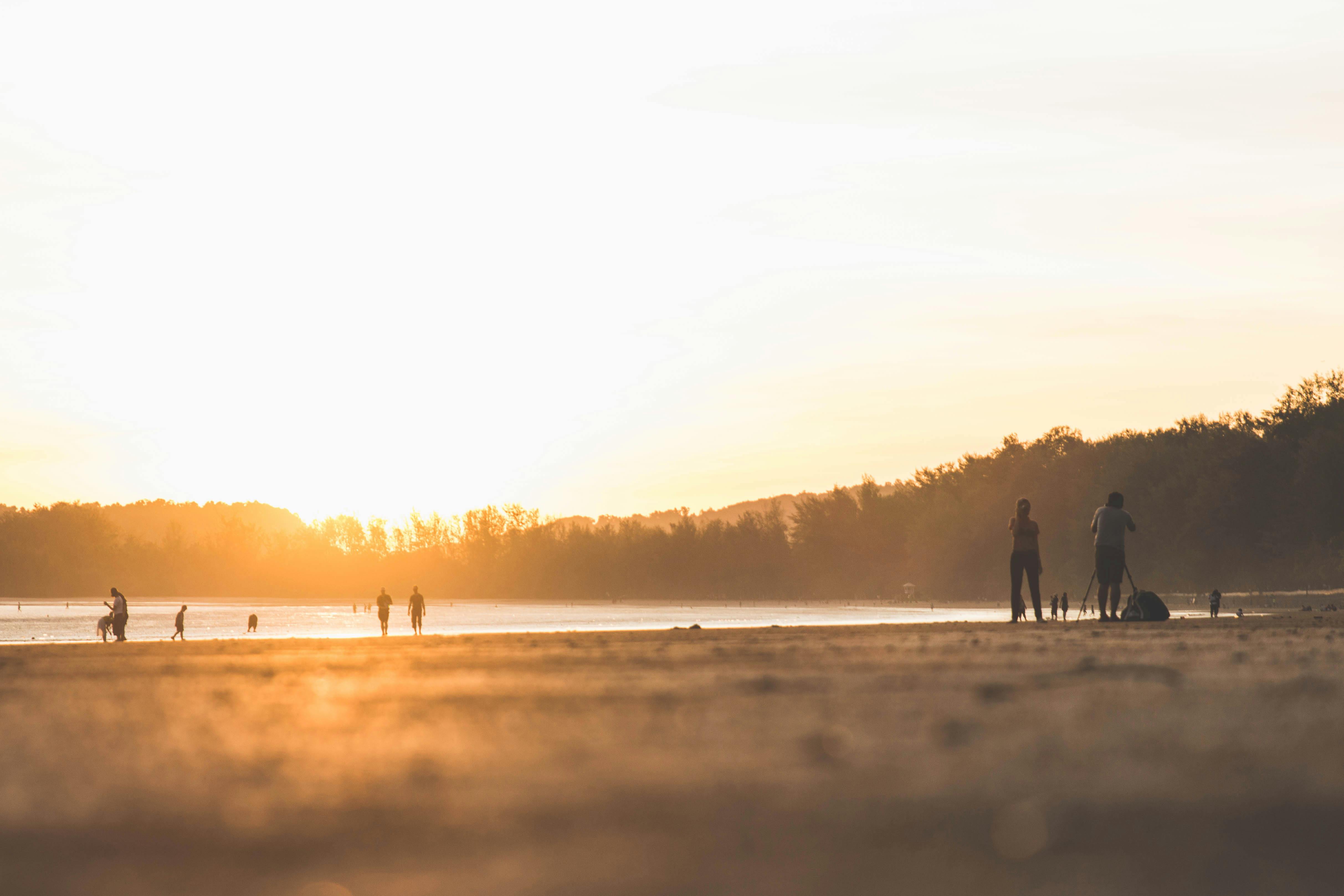 Fog Level Photos, Download Free Fog Level Stock Photos & HD Images