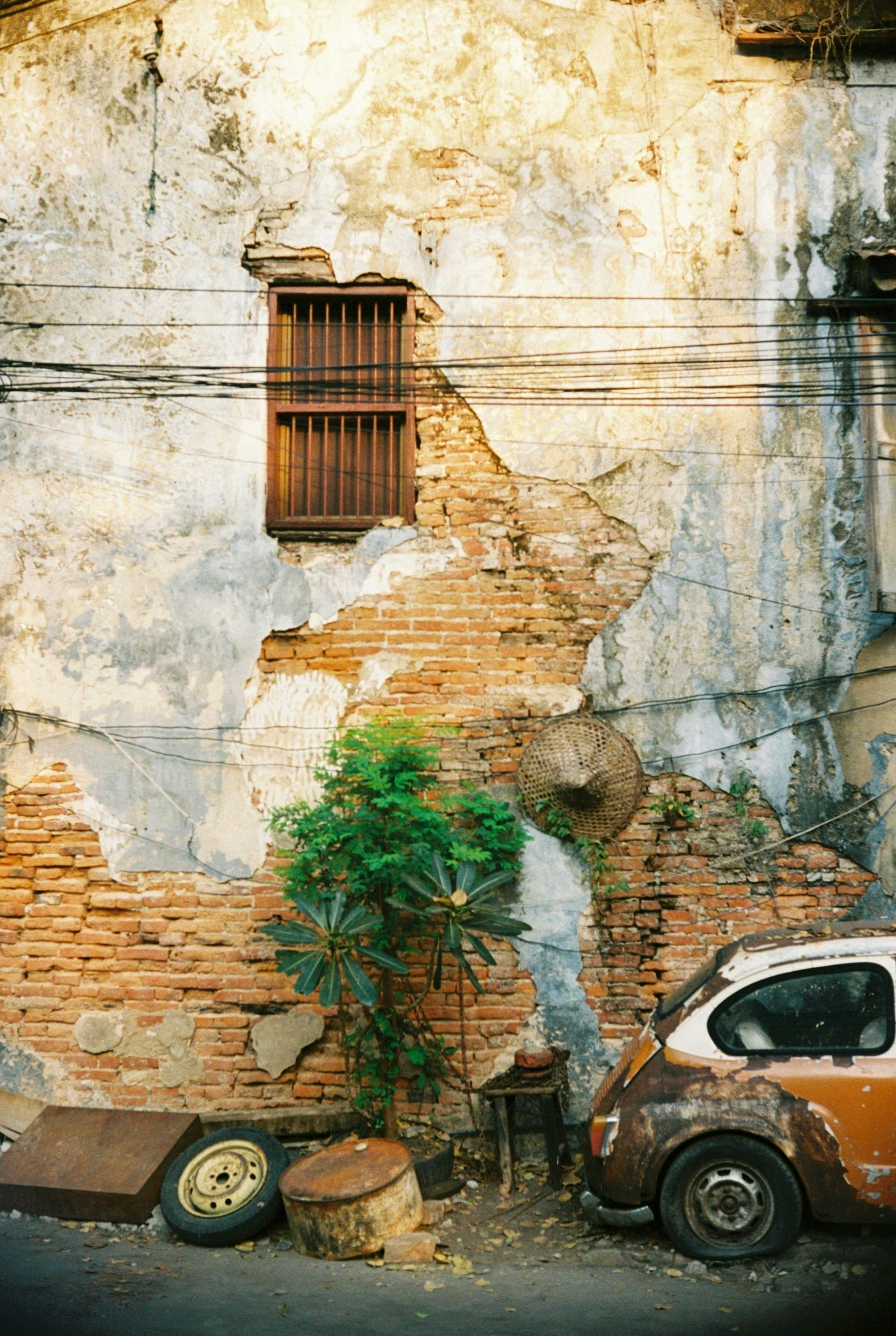 Tree and Vintage Building · Free Stock Photo