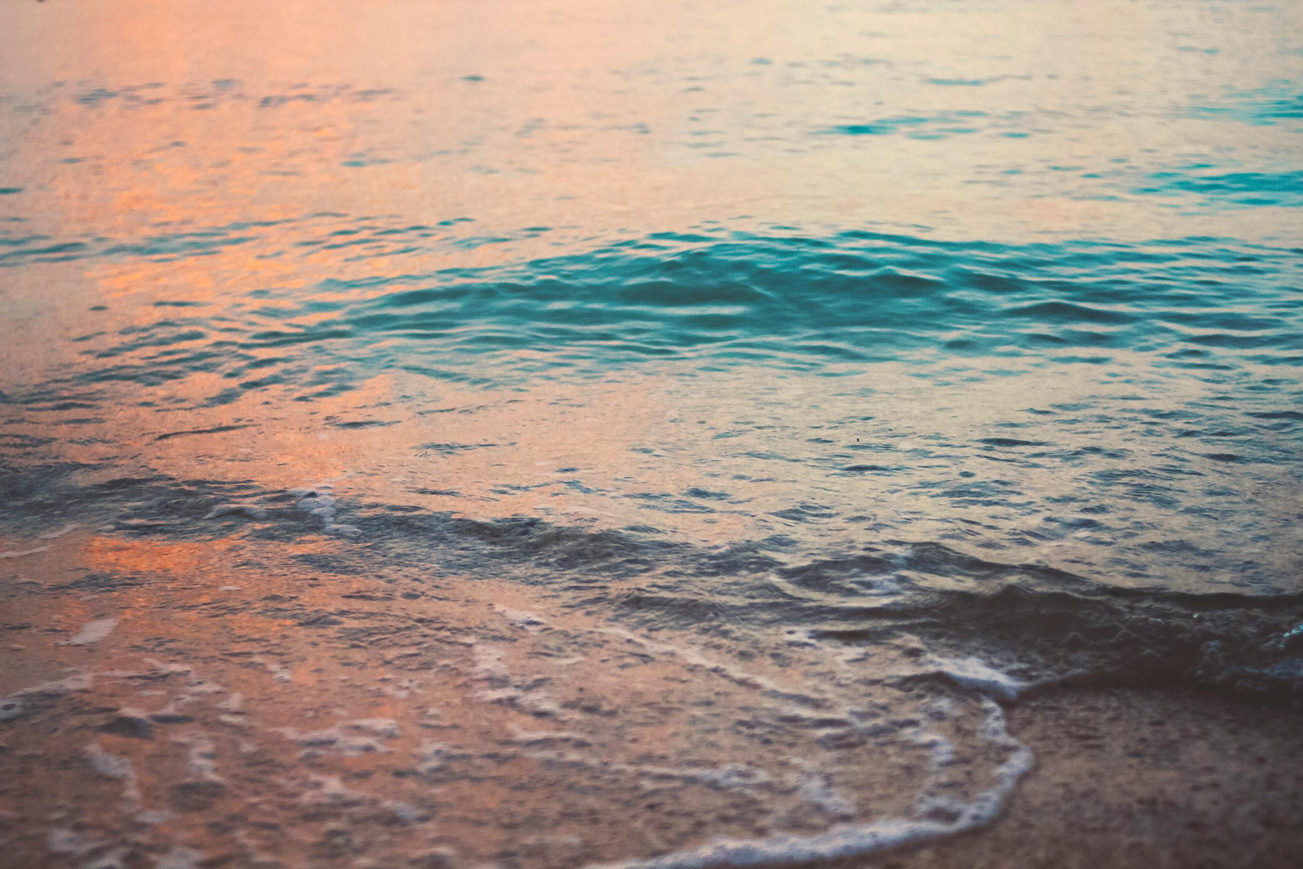 Sea Shore · Free Stock Photo