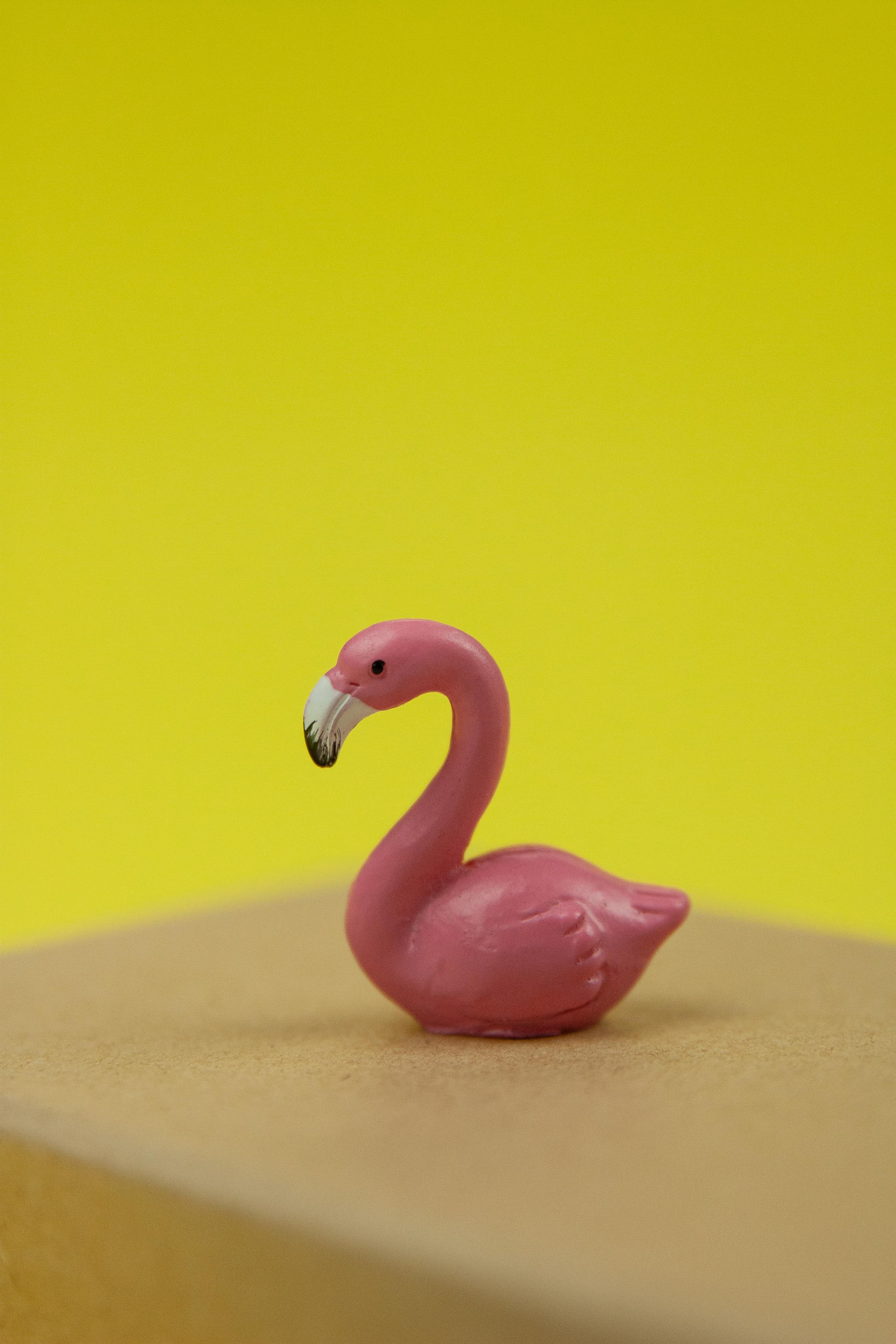 A Pink Flamingo Figurine · Free Stock Photo