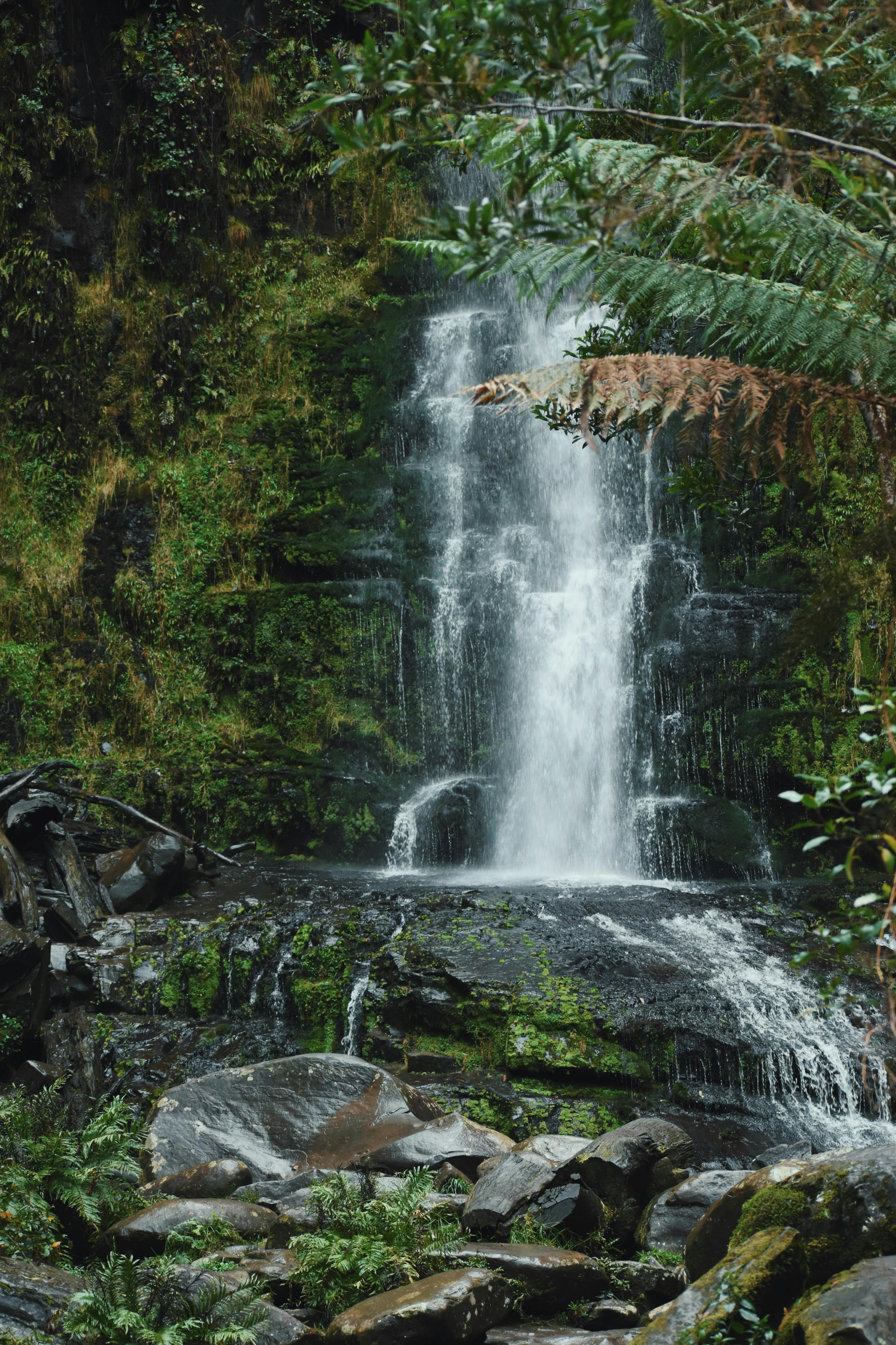 Foto de stock gratuita sobre agua en cascada, al aire libre, arboles ...