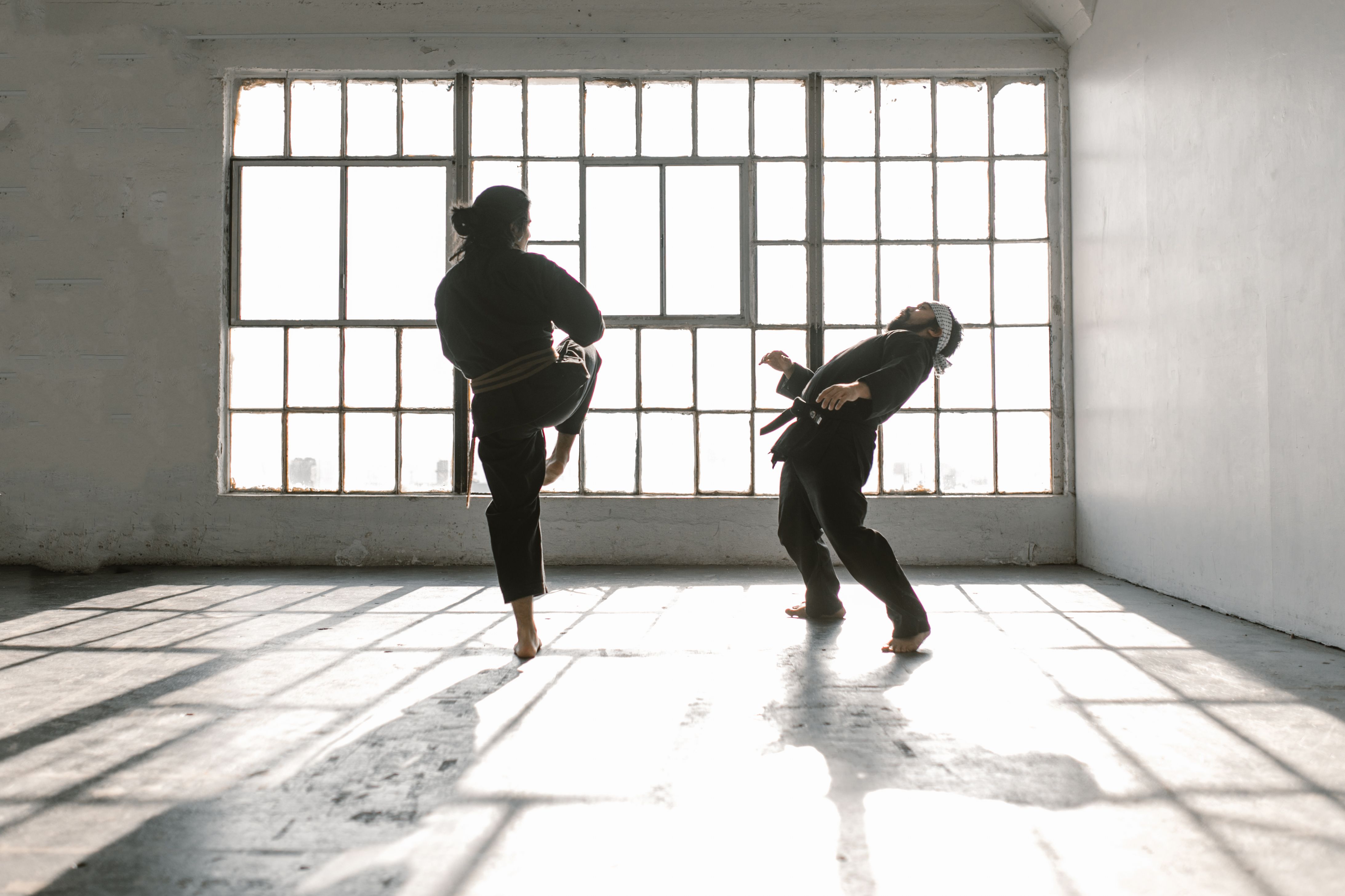 Two Men Doing Karate · Free Stock Photo