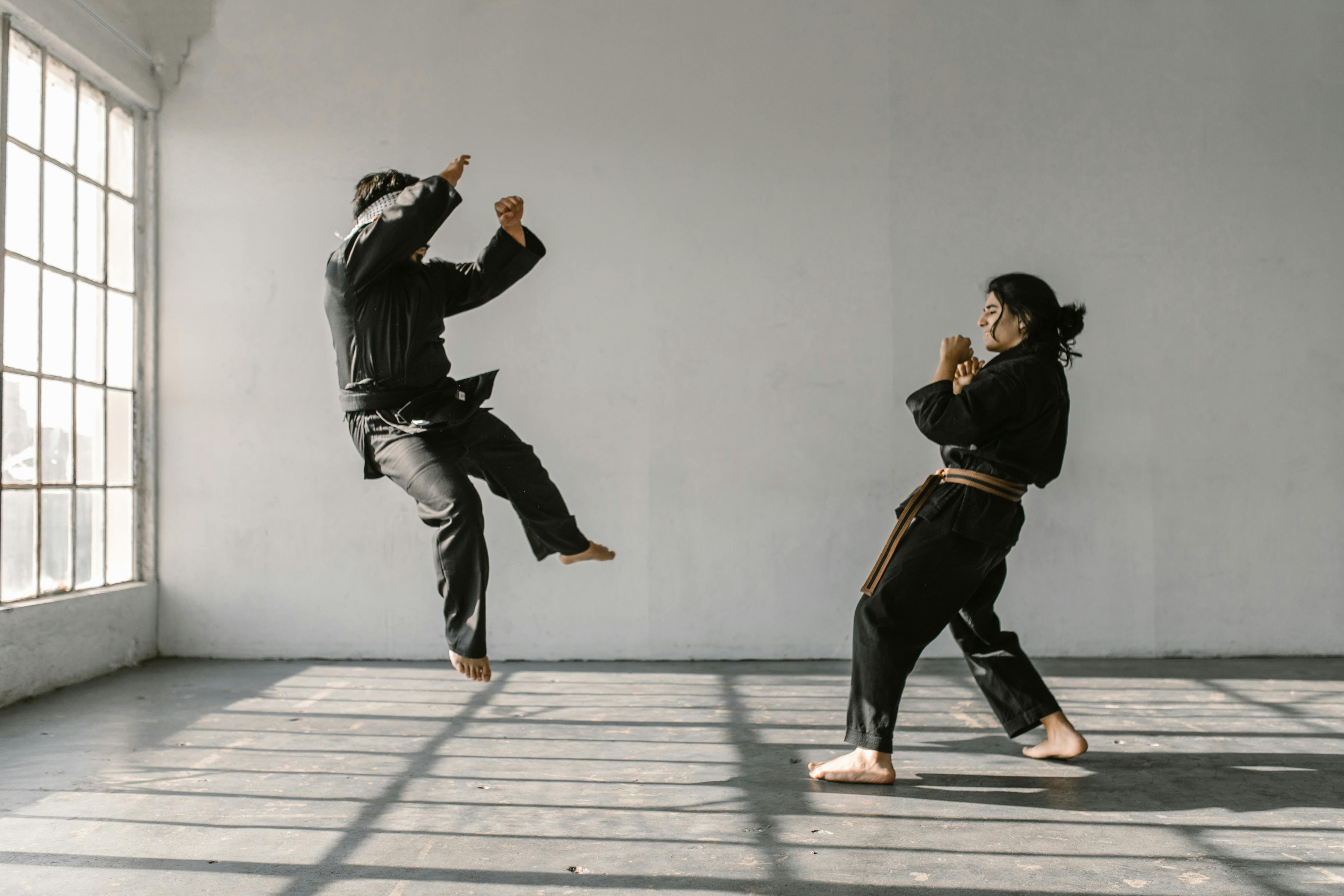 Free stock photo of action, adult, aikido, arawaza, athletics, black ...
