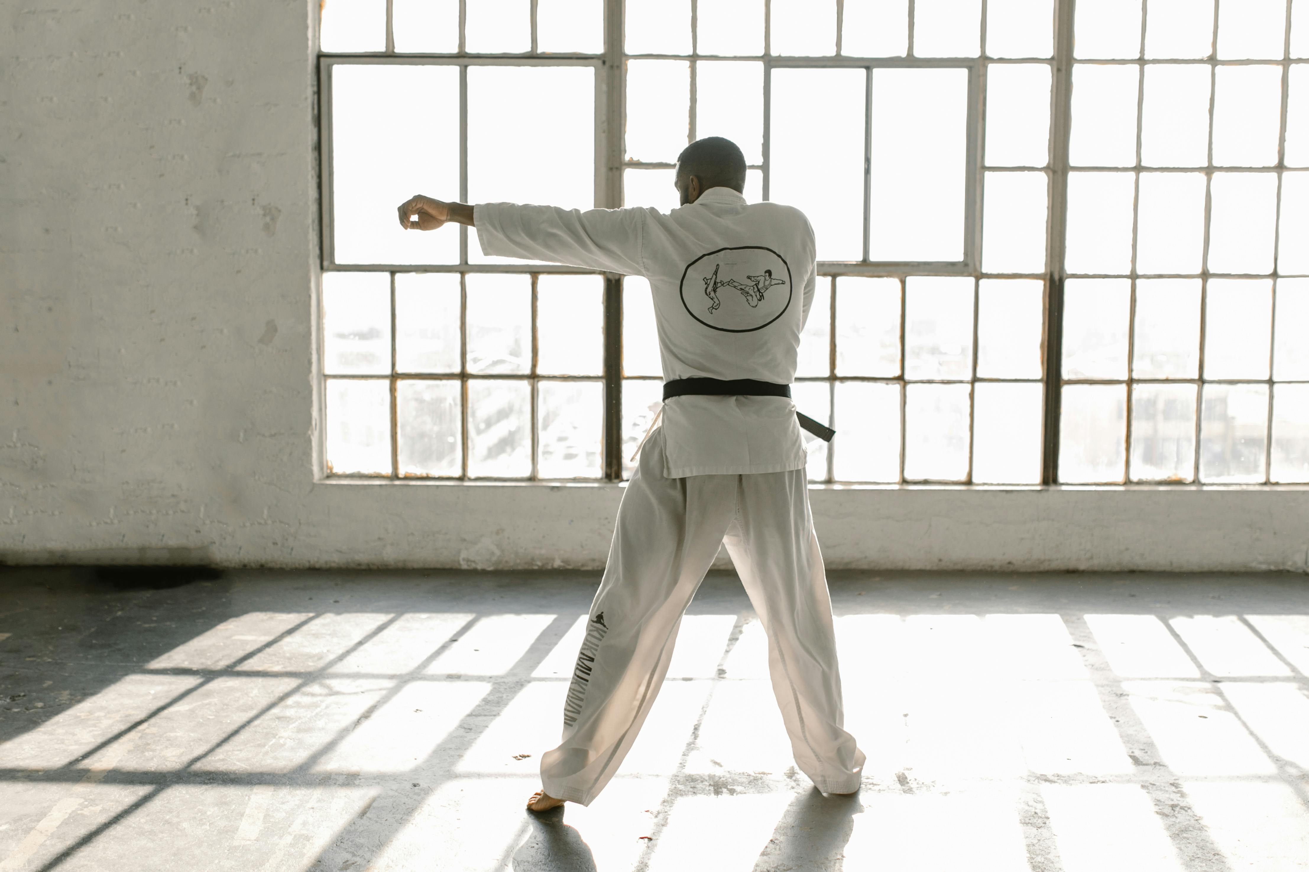 Shadow Karate Photos, Download The BEST Free Shadow Karate Stock Photos ...
