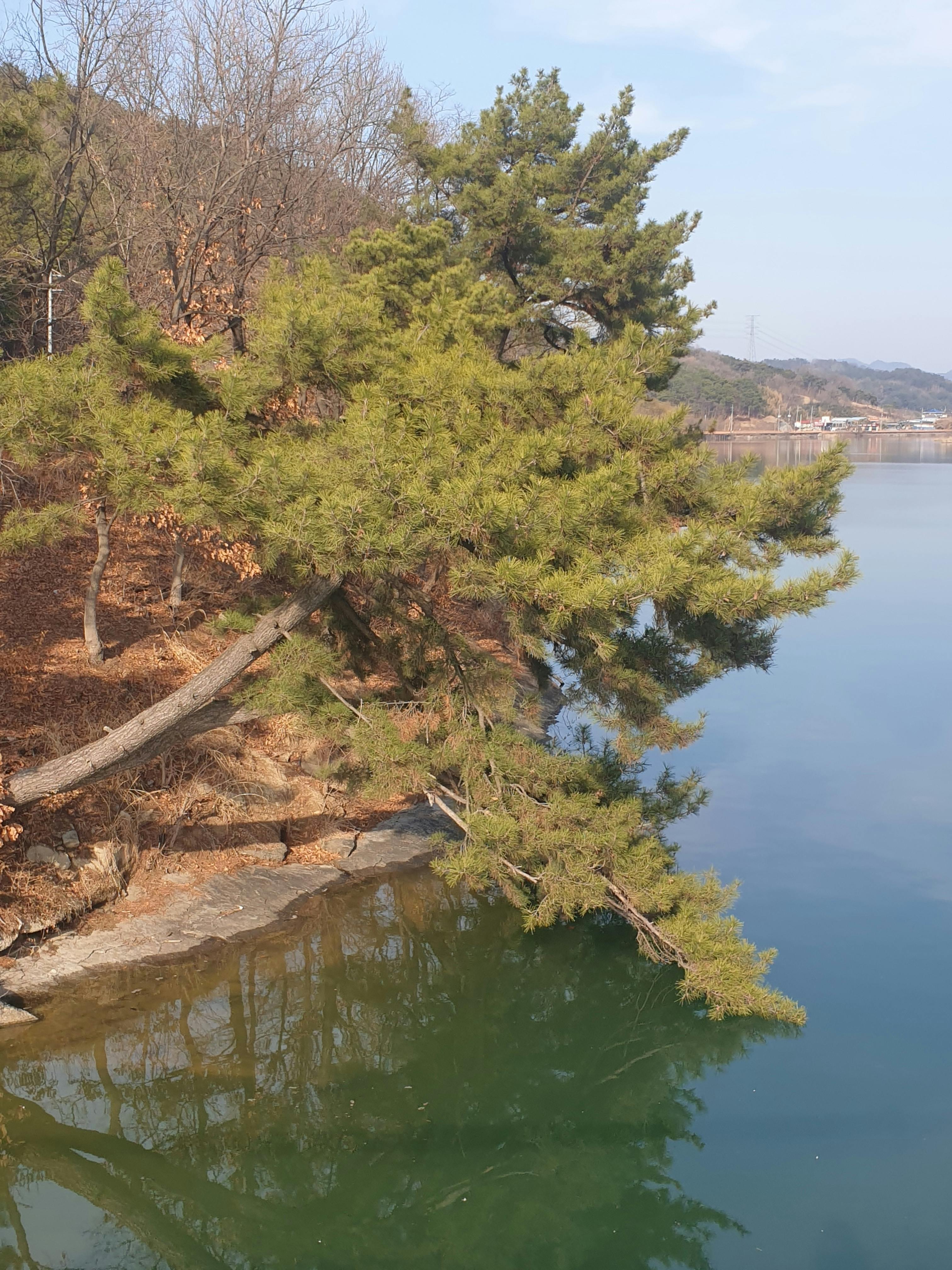 Laadley Baankey Bihari - श्री कृष्ण भक्ति