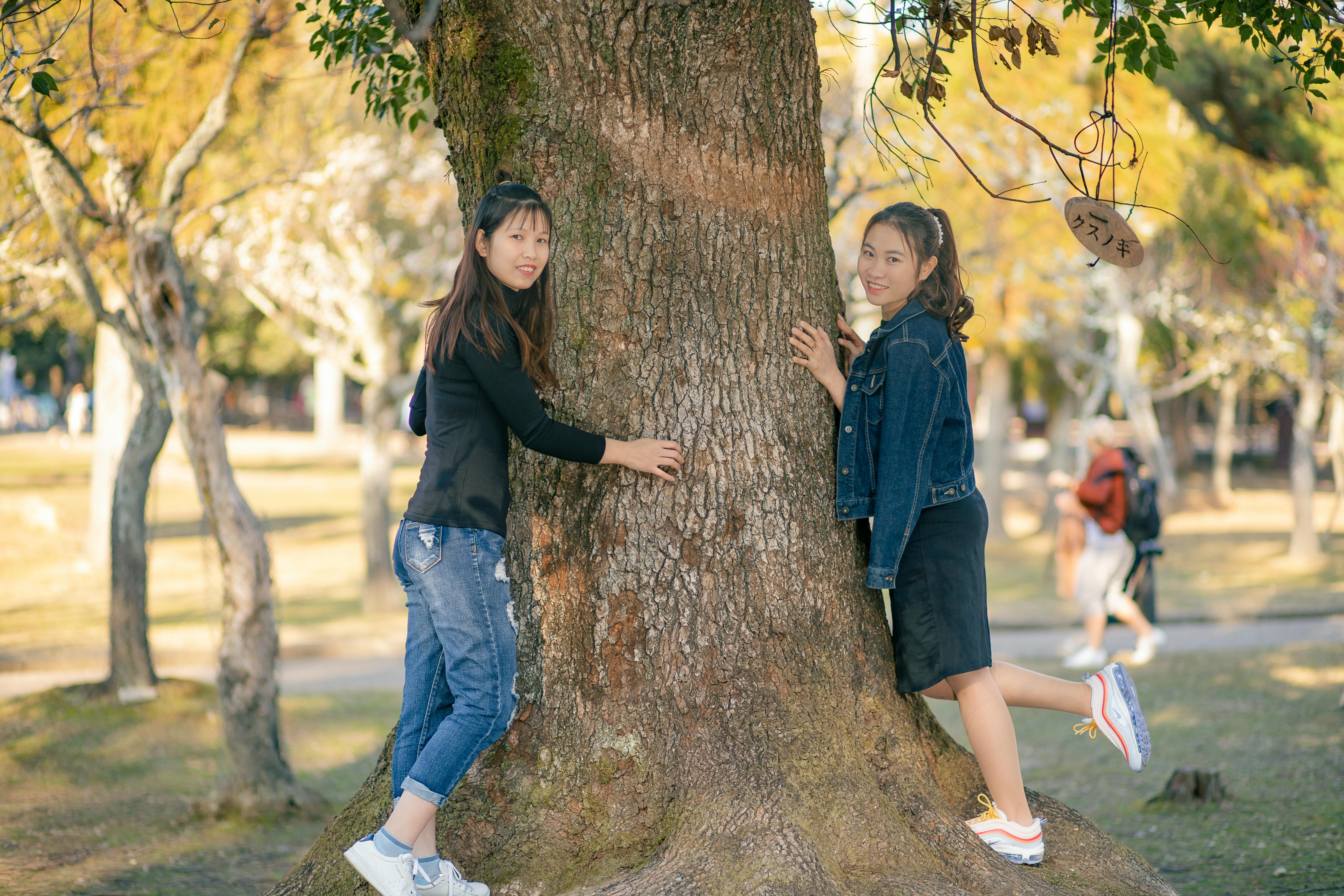 Women Posing by the Tree · Free Stock Photo