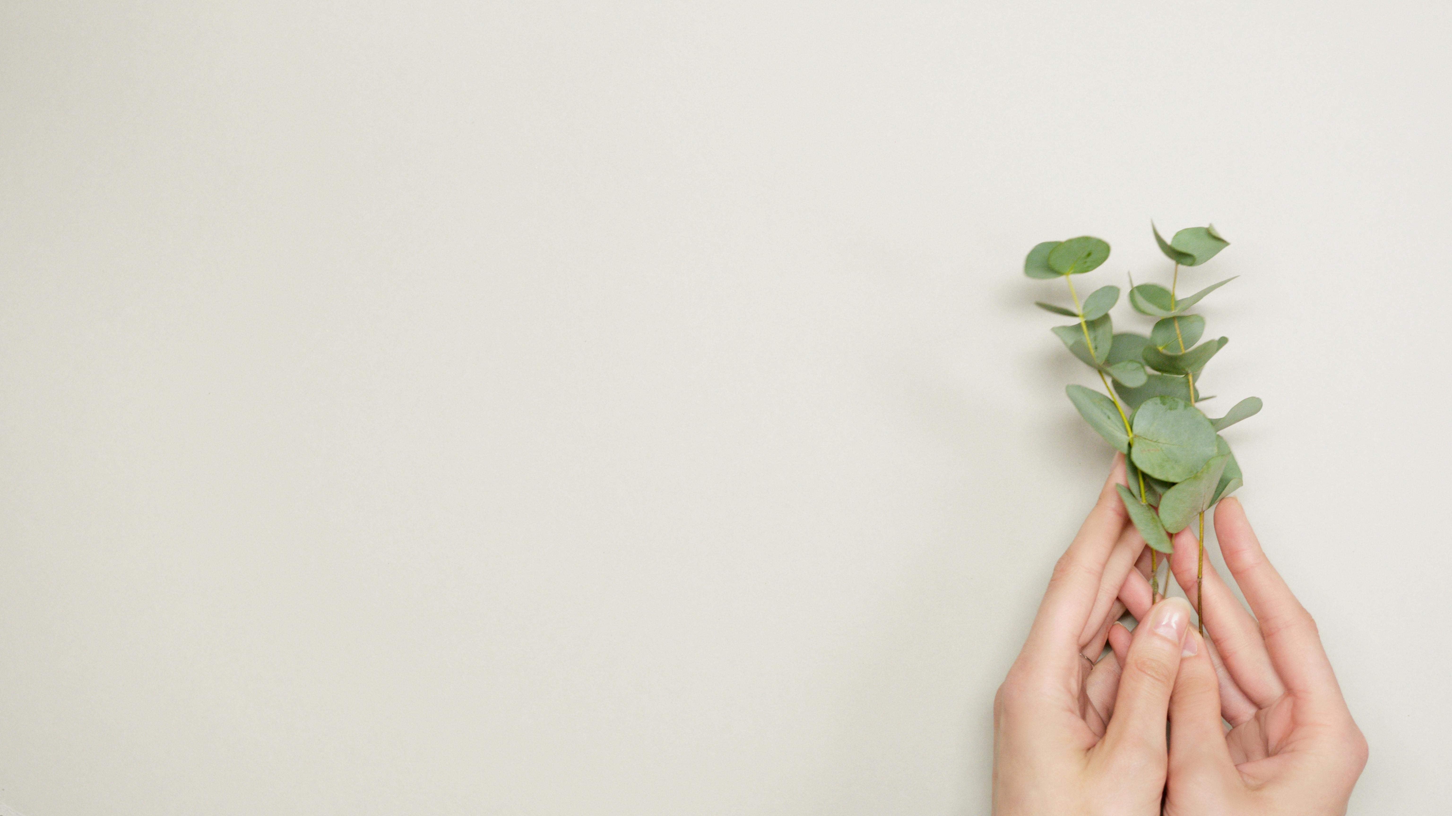 10,000+ Best Soil Pollution Photos · 100% Free Download · Pexels Stock ...