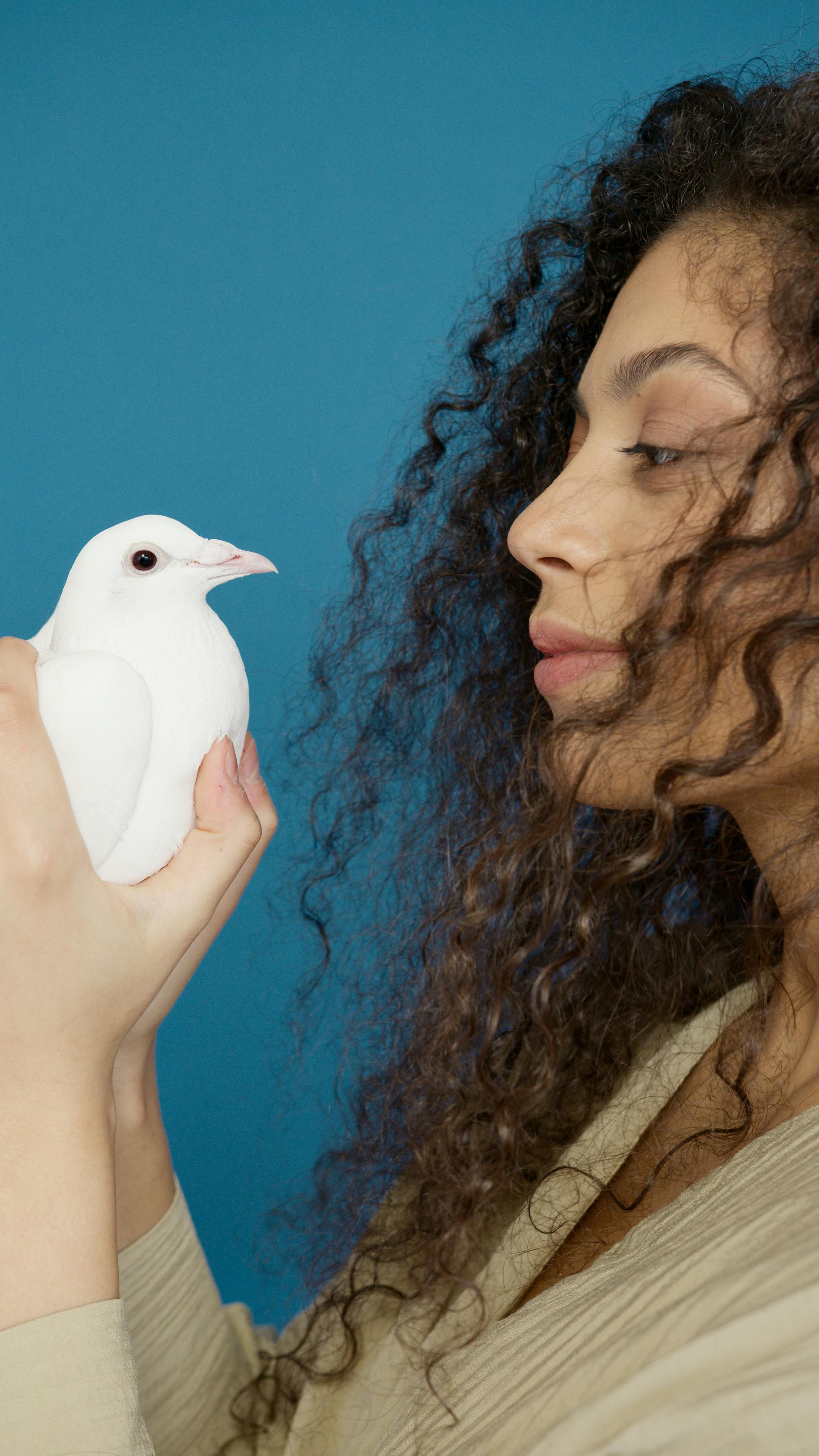 Woman Holding a Dove · Free Stock Photo