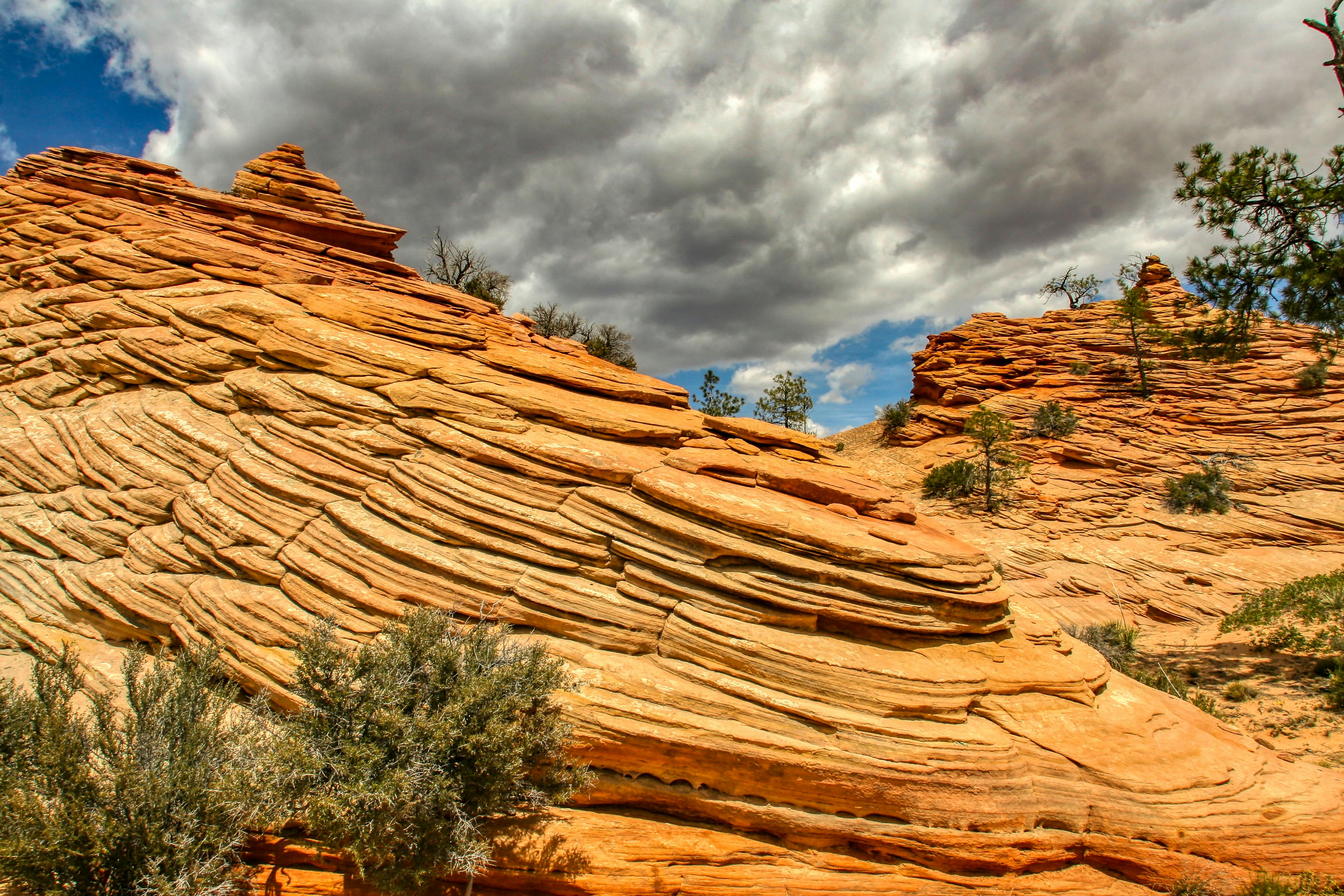 Rocks Formation in Zion National Park · Free Stock Photo