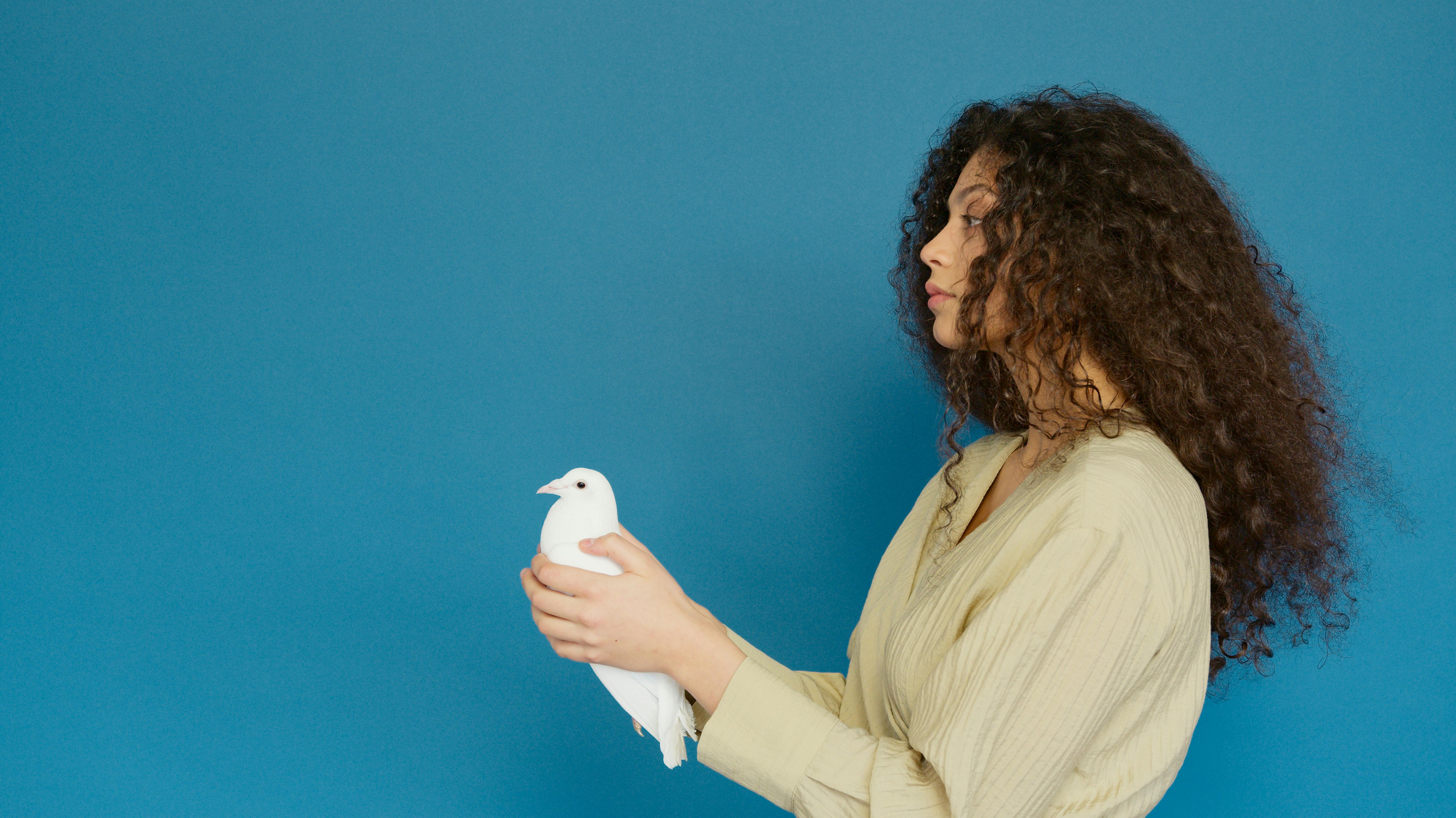 Dove And Person Photos, Download The BEST Free Dove And Person Stock ...
