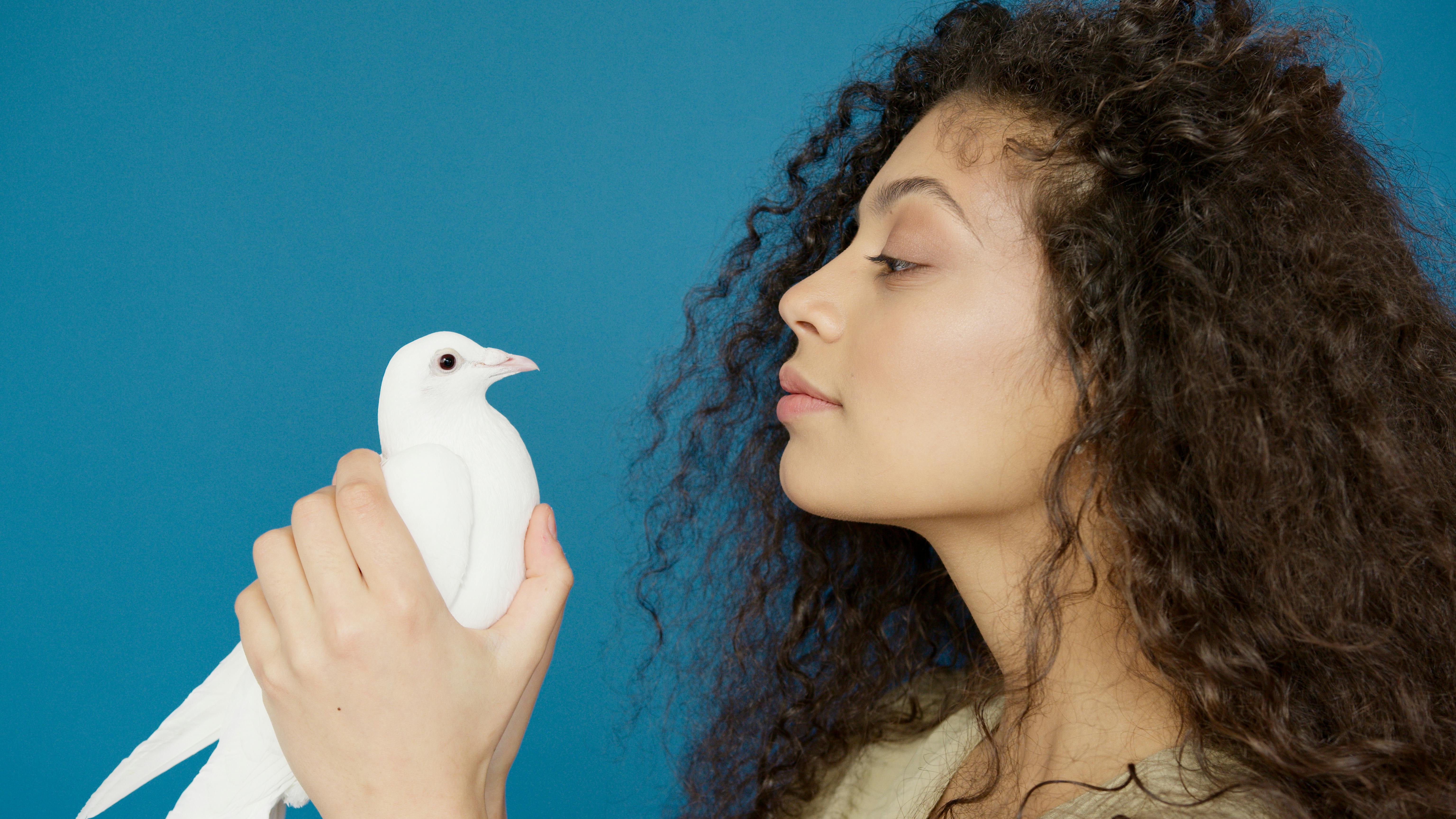 Woman Holding White Bird · Free Stock Photo