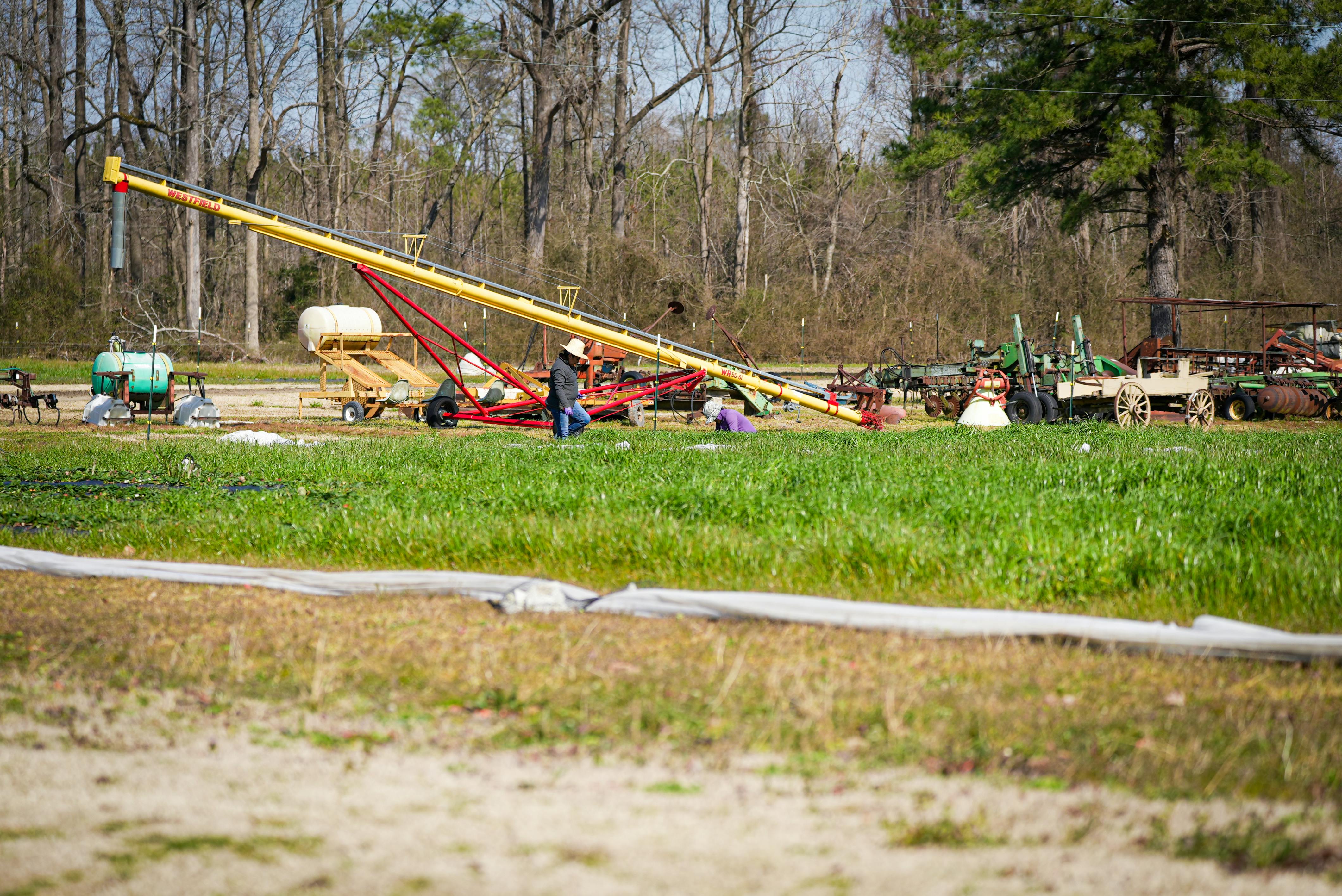 People Working n the Farm · Free Stock Photo