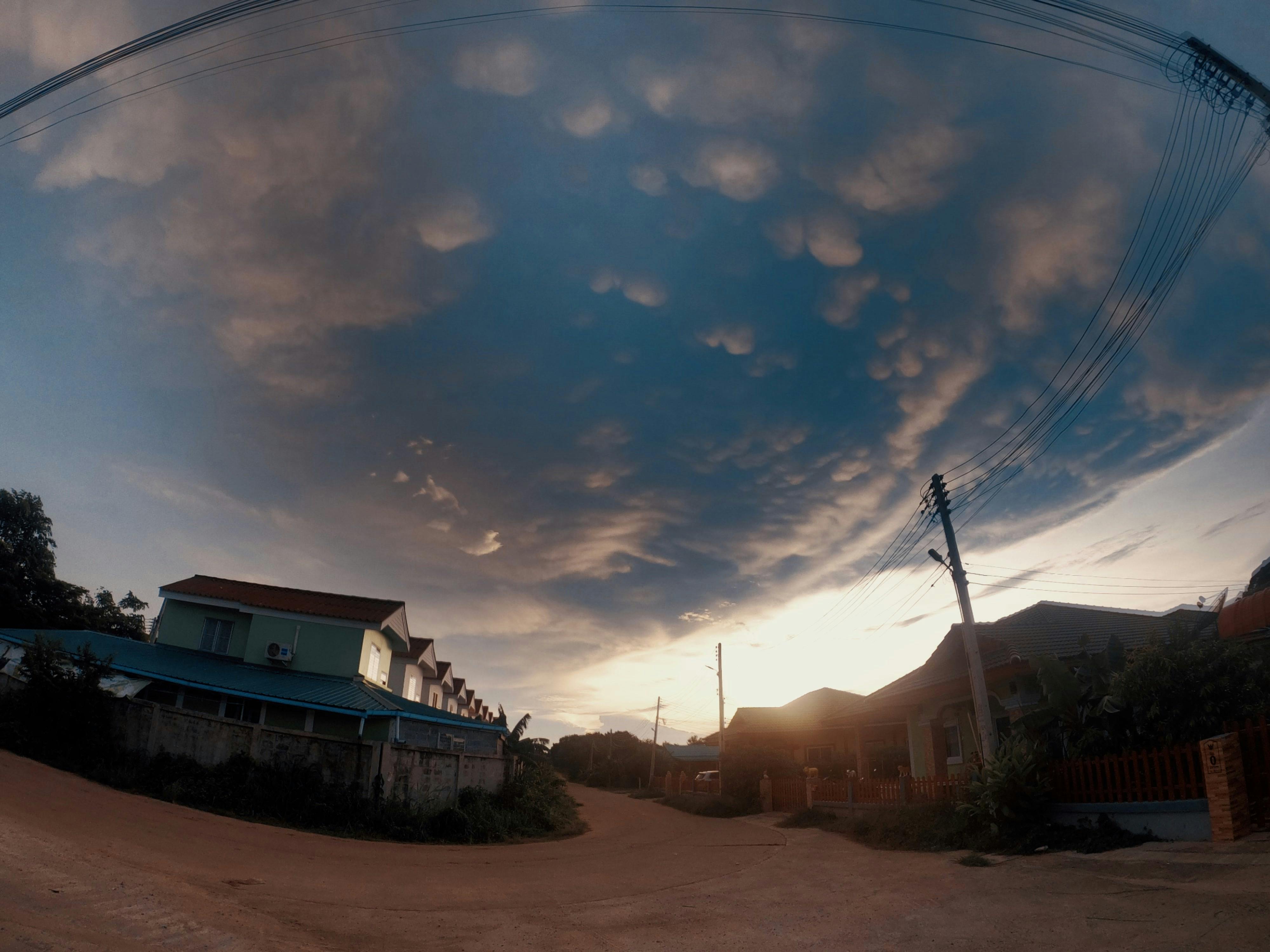 Mogoon Kenji - 사진