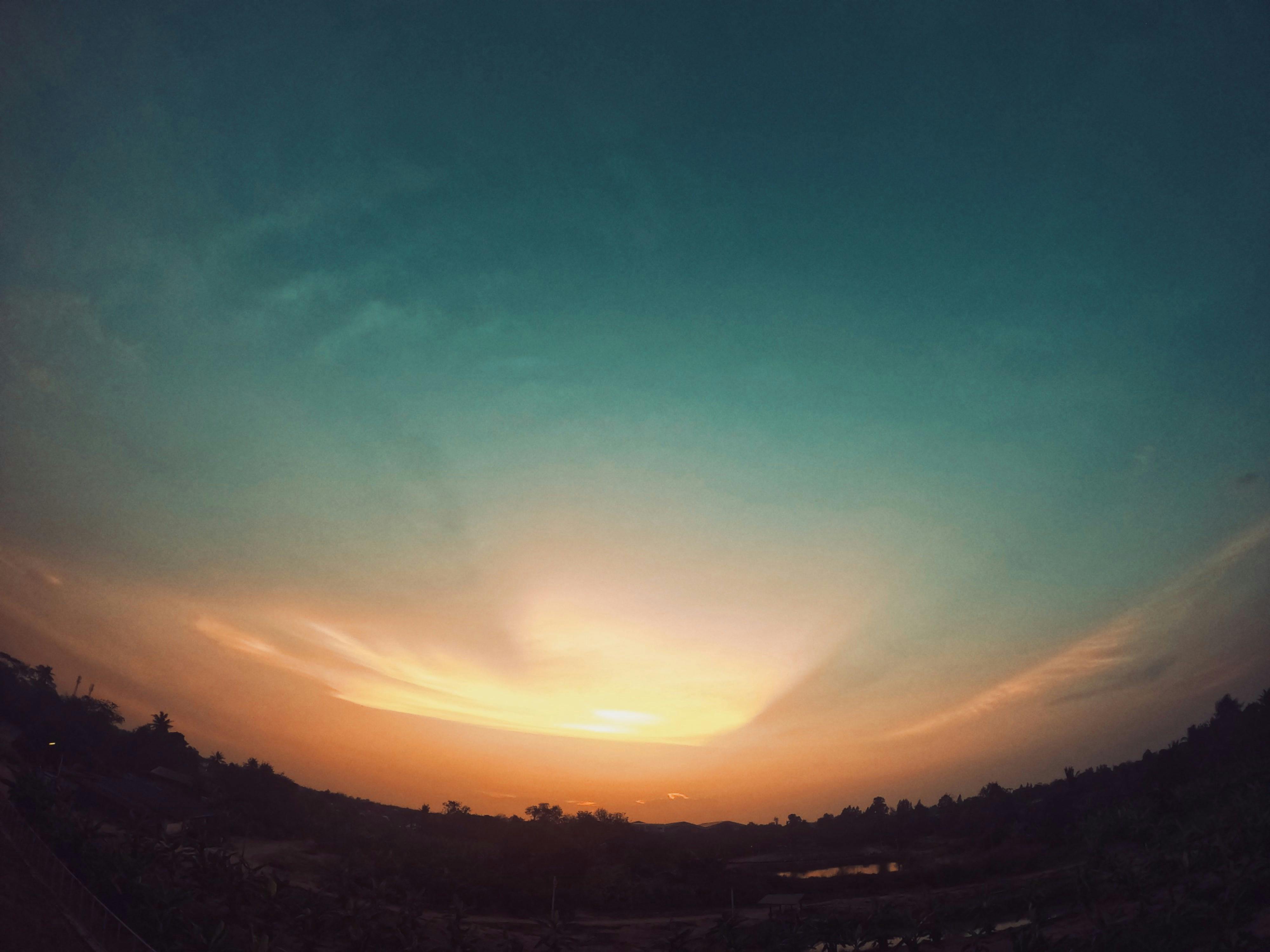 Mogoon Kenji - 사진