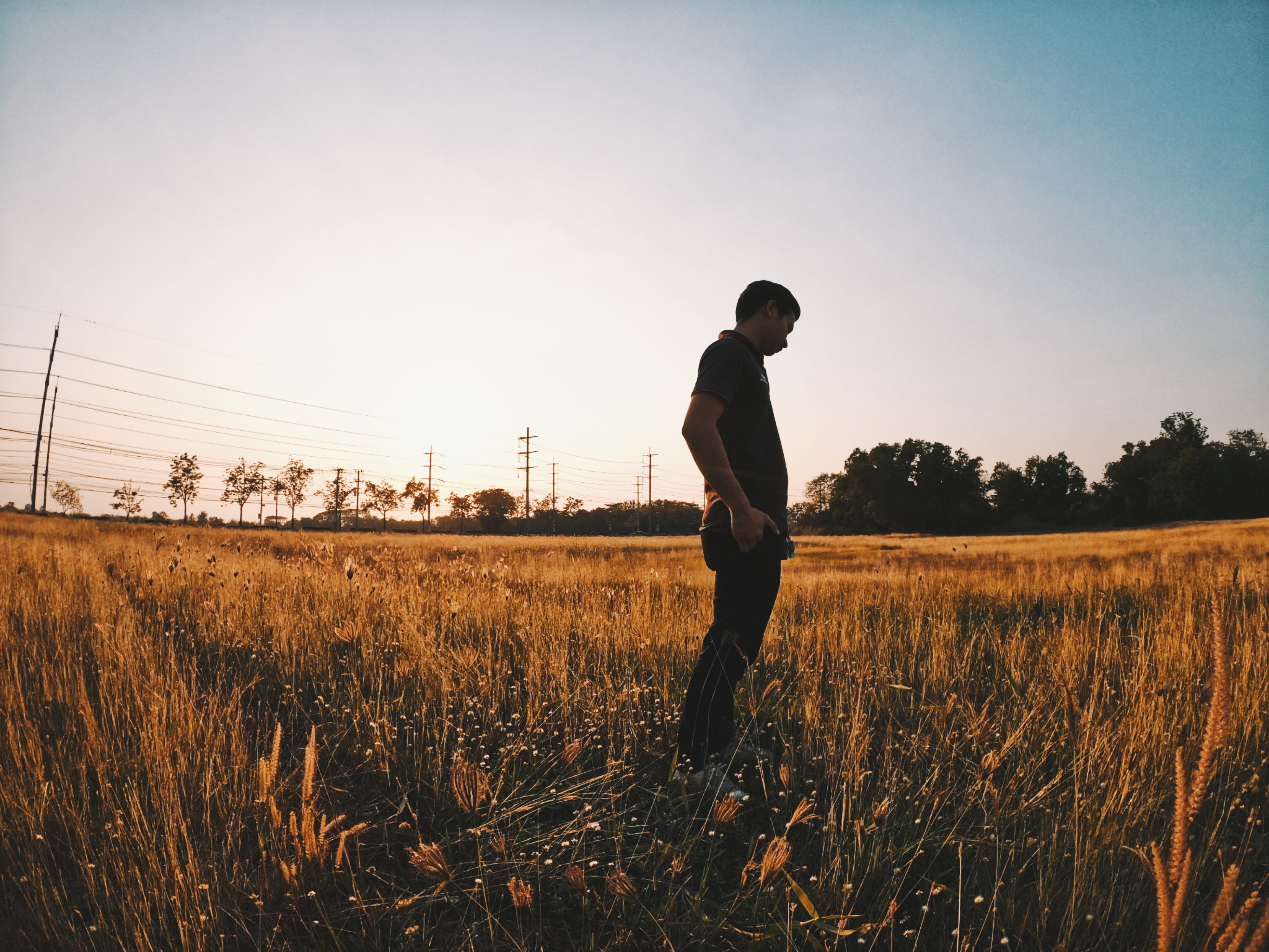 A Man Standing on a Grassy Field · Free Stock Photo