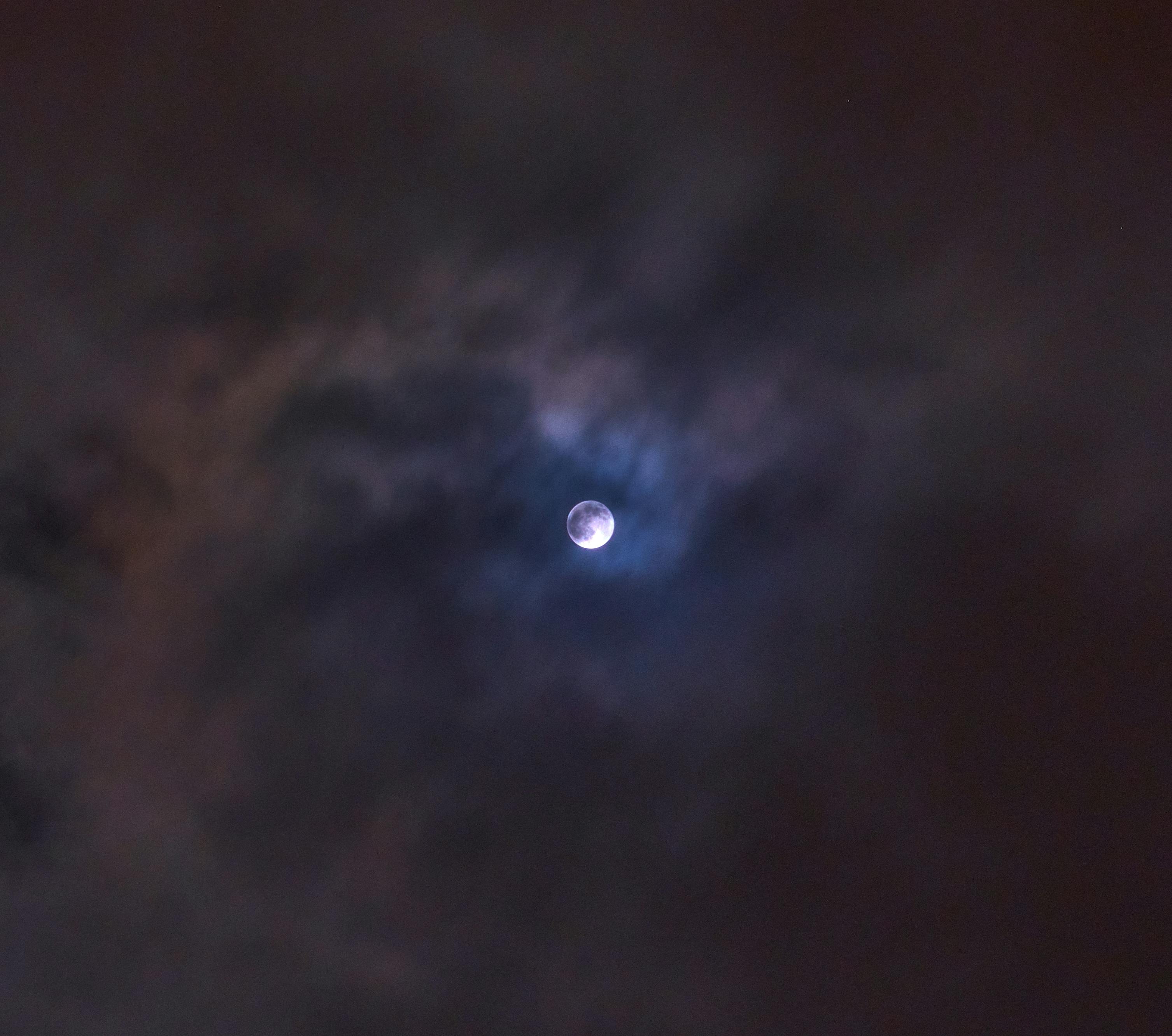 Full Moon over Trees · Free Stock Photo
