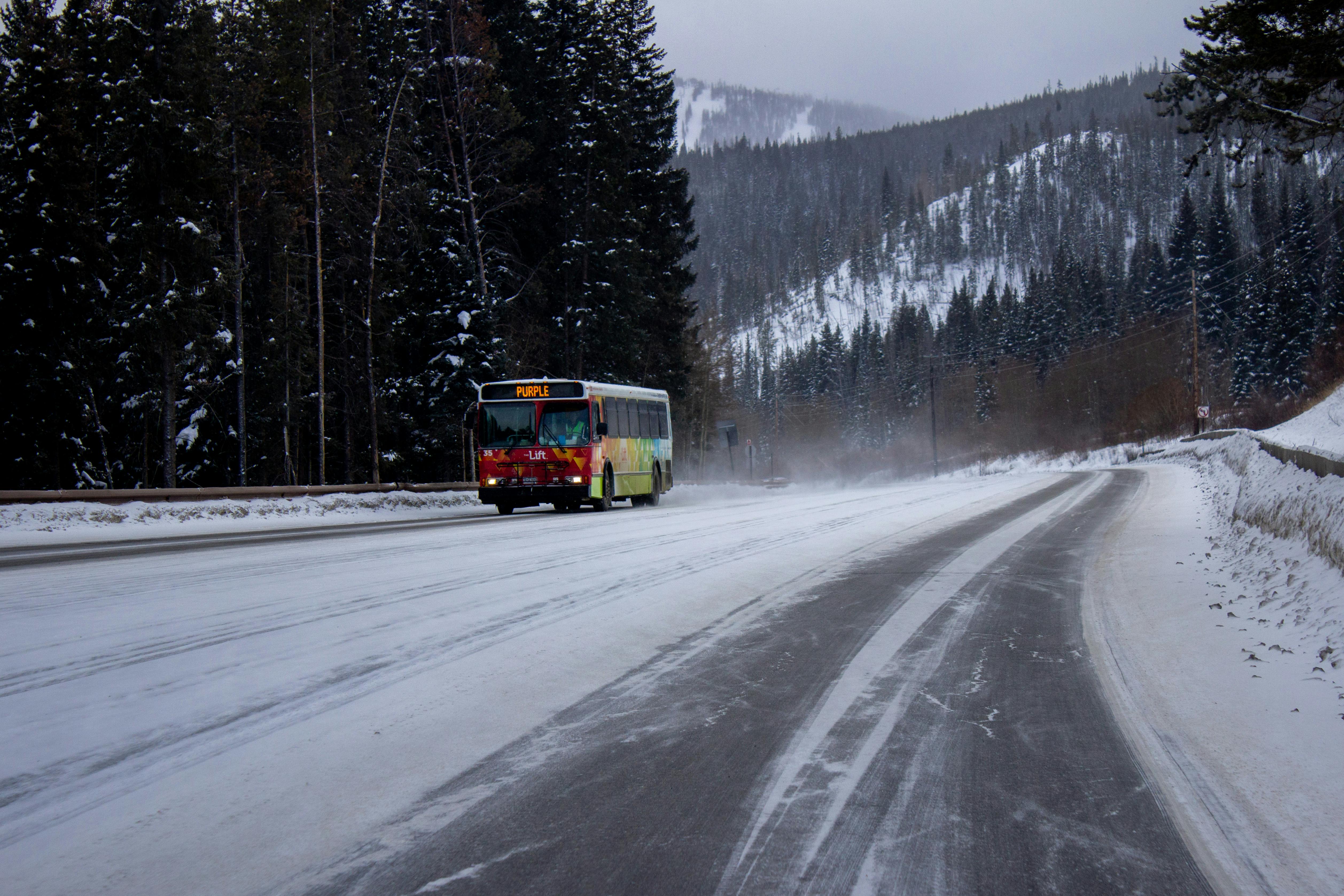 A School Bus on the Road Between Snow Covered Ground with Leafless ...