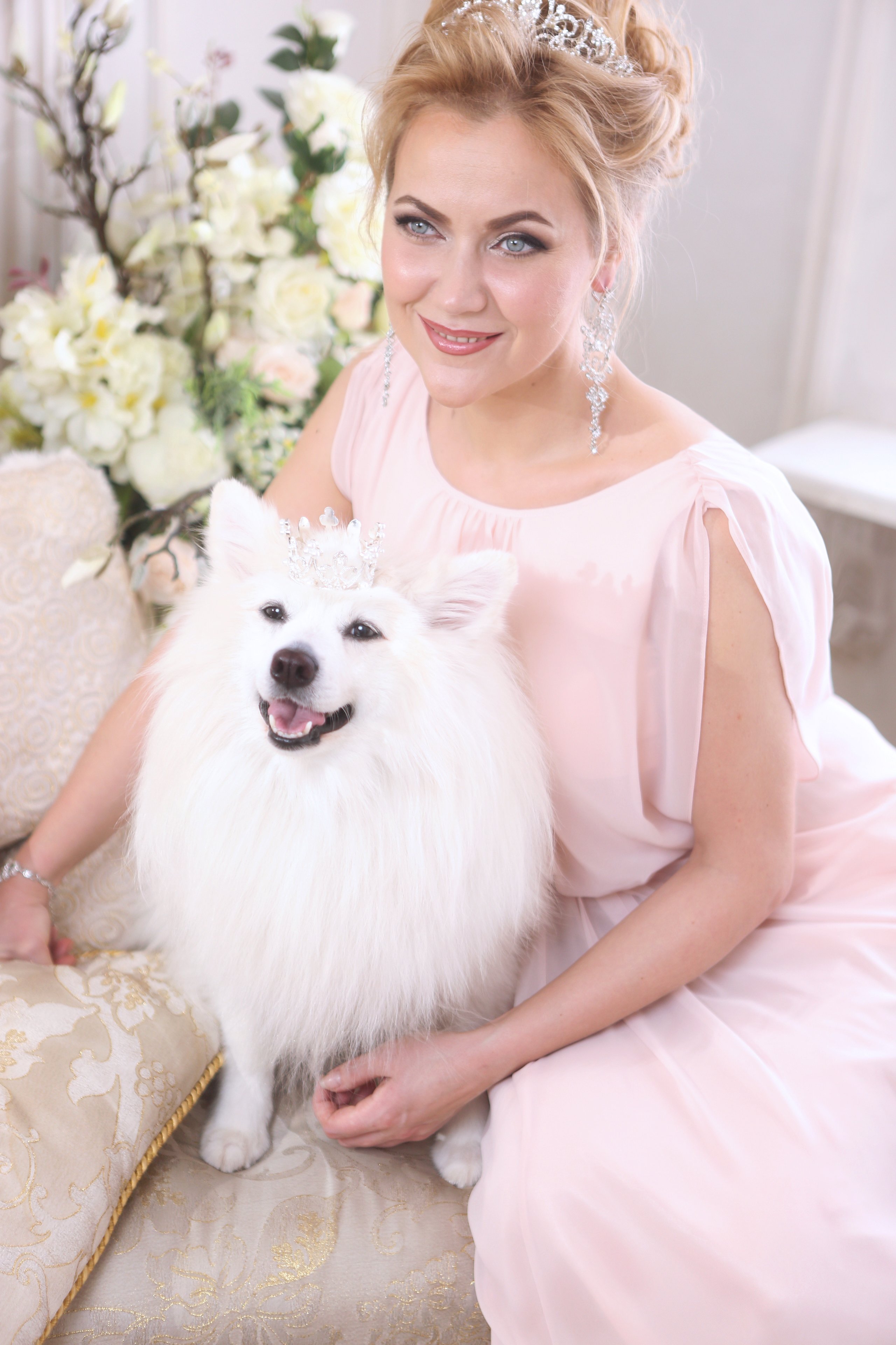 Dog Tiara Photos, Download The BEST Free Dog Tiara Stock Photos & HD Images