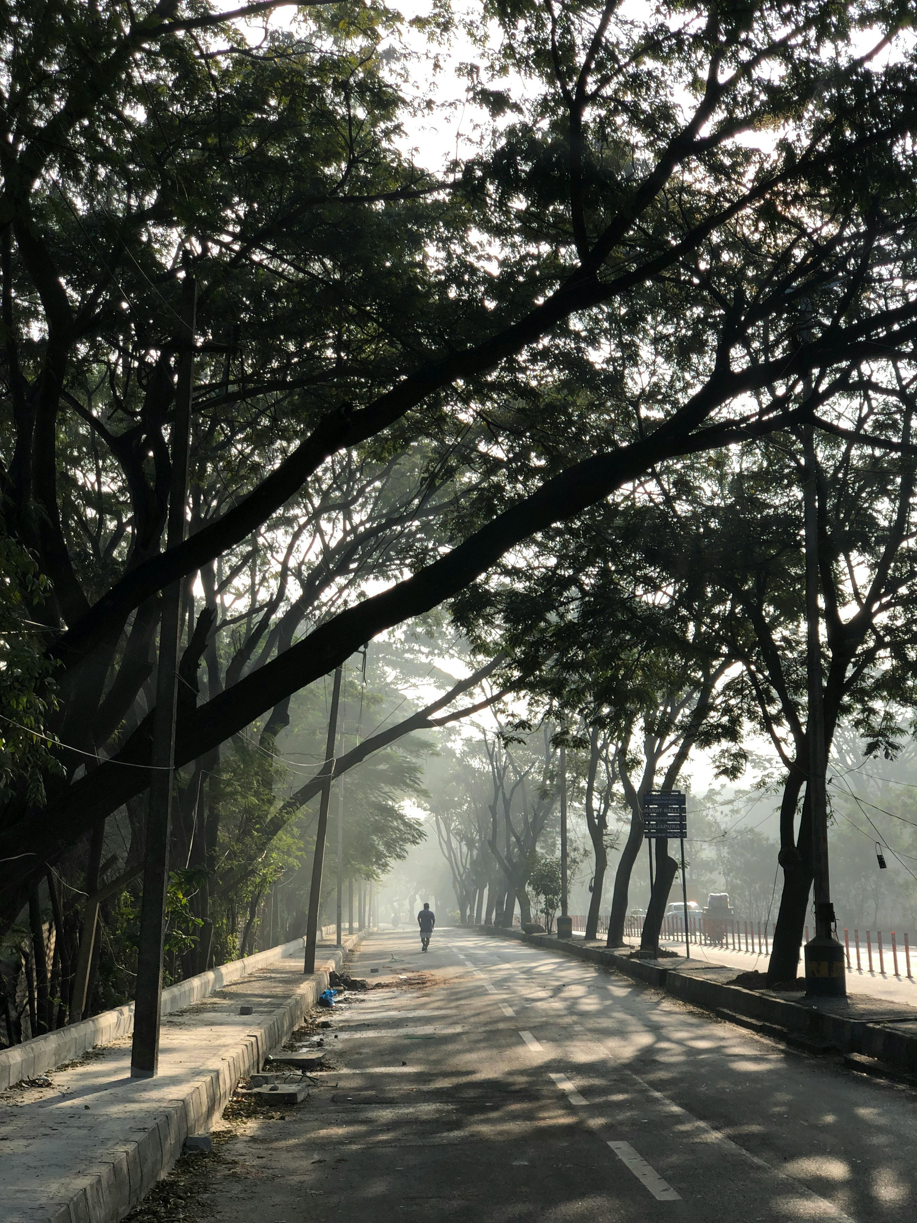 Shaded Photos, Download The BEST Free Shaded Stock Photos & HD Images