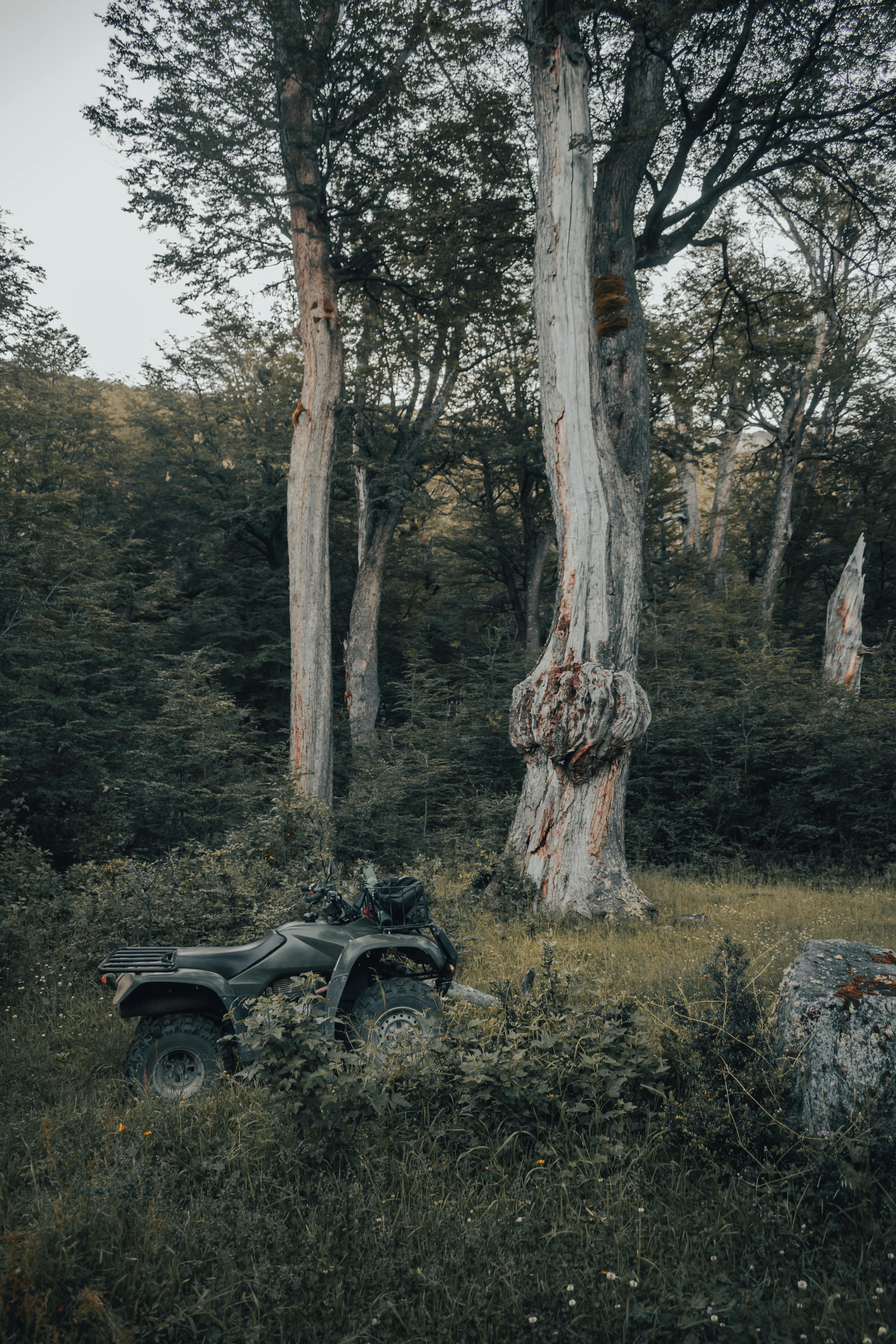 Photo of Man Riding Motorcycle in the Forest · Free Stock Photo