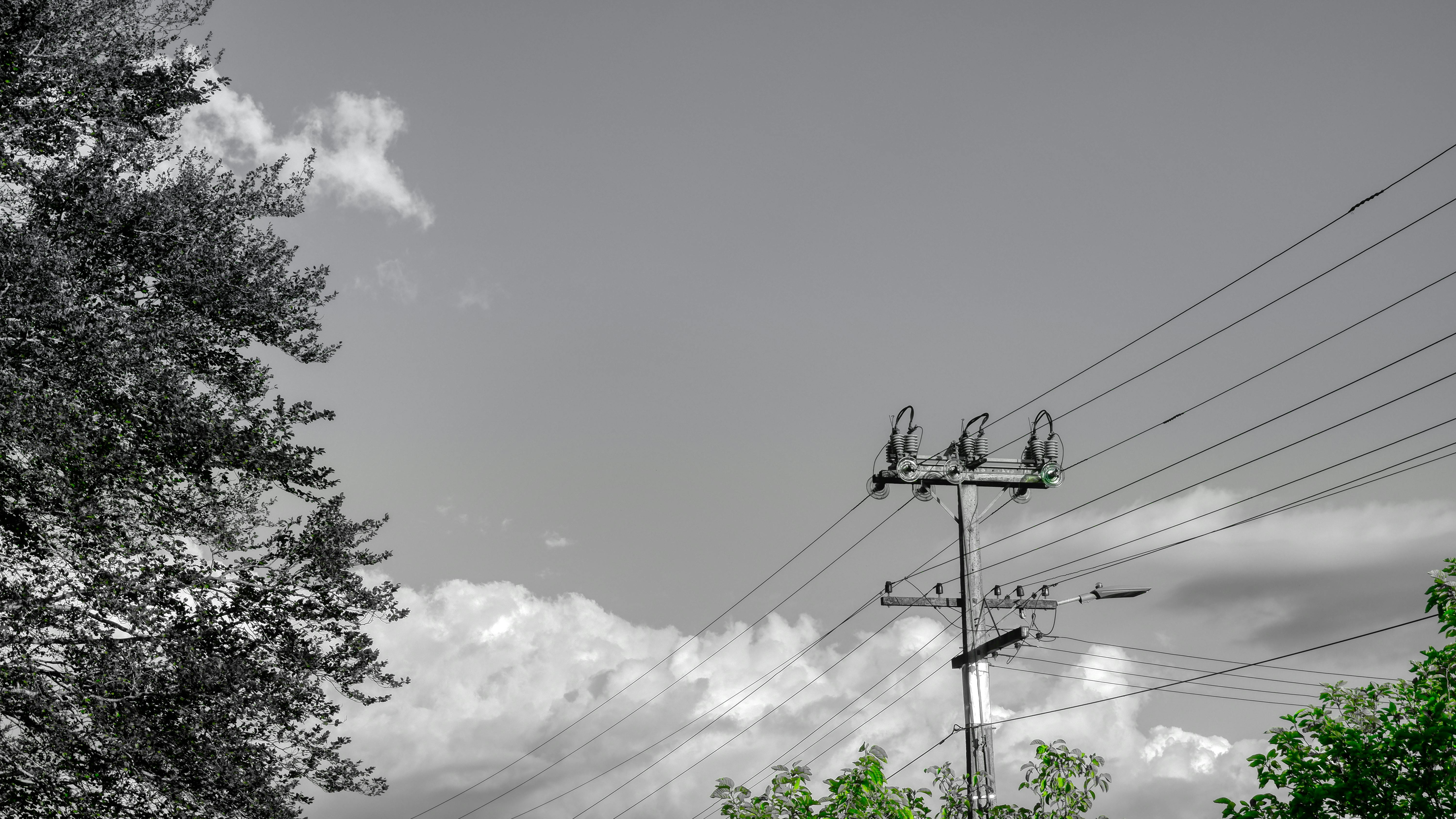 Background 4 Photos & Videos Collected by Riteshwar Ramphul