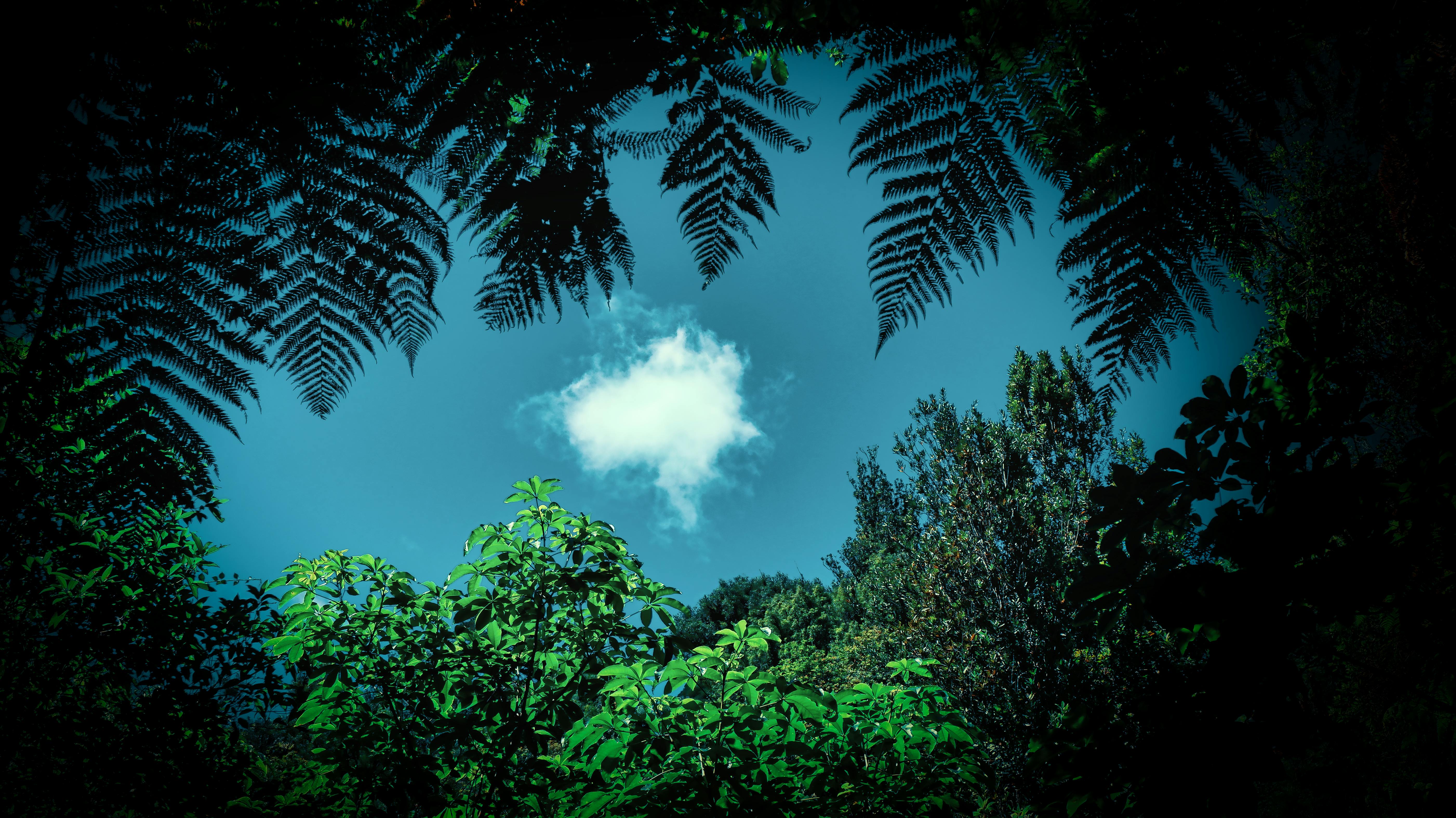 Background 4 Photos & Videos Collected by Riteshwar Ramphul