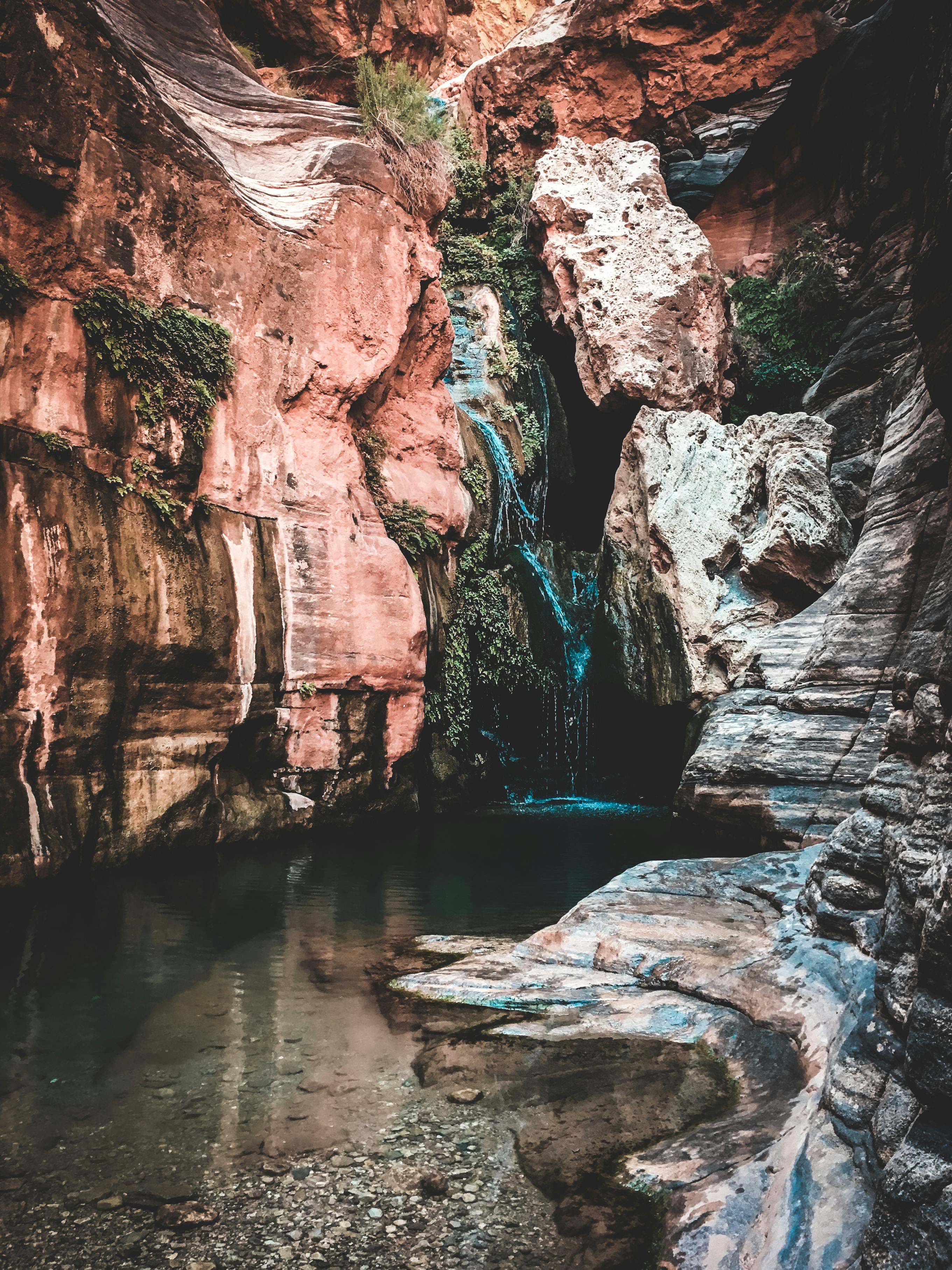 dennis George - Photography