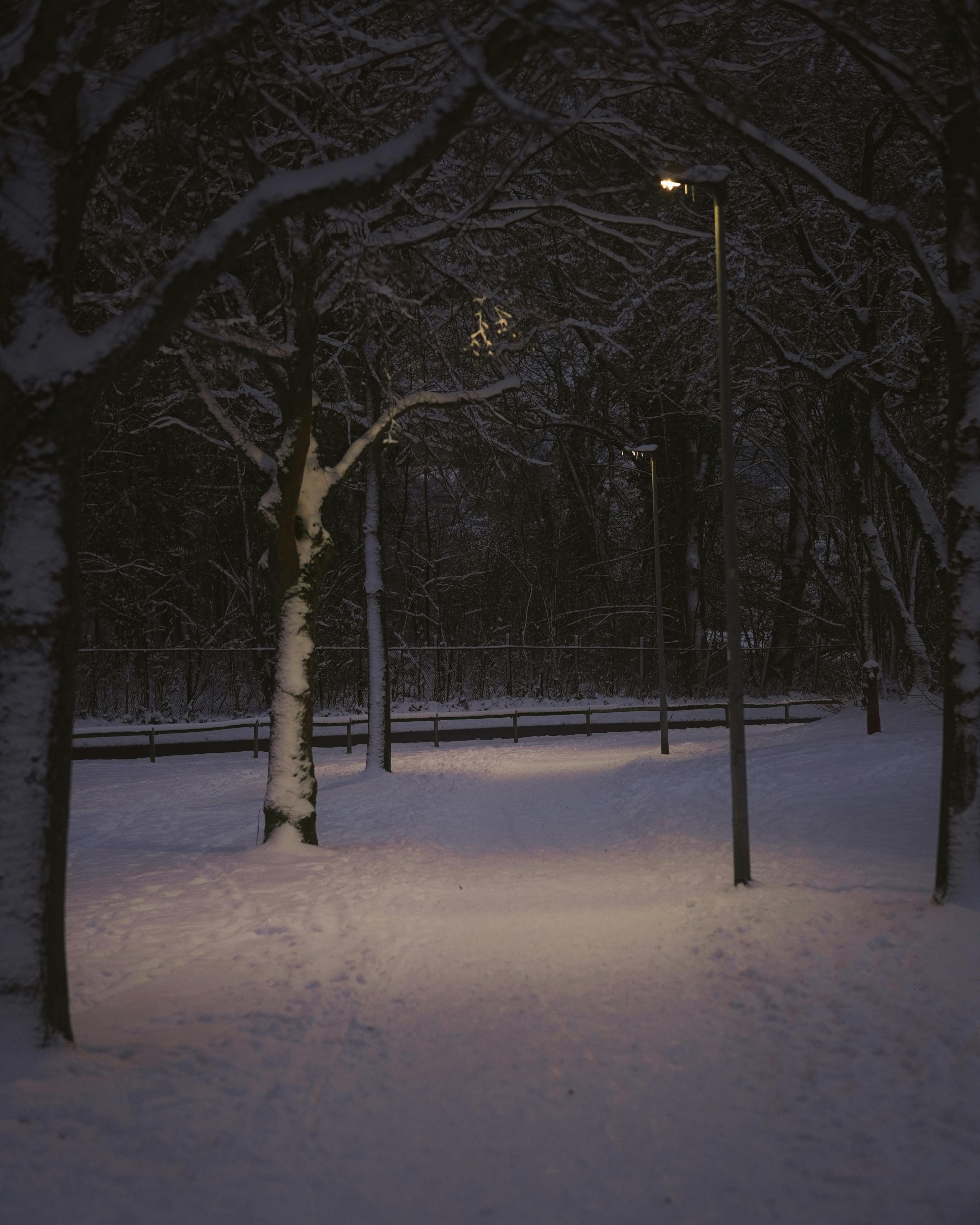 Alexander · Photography