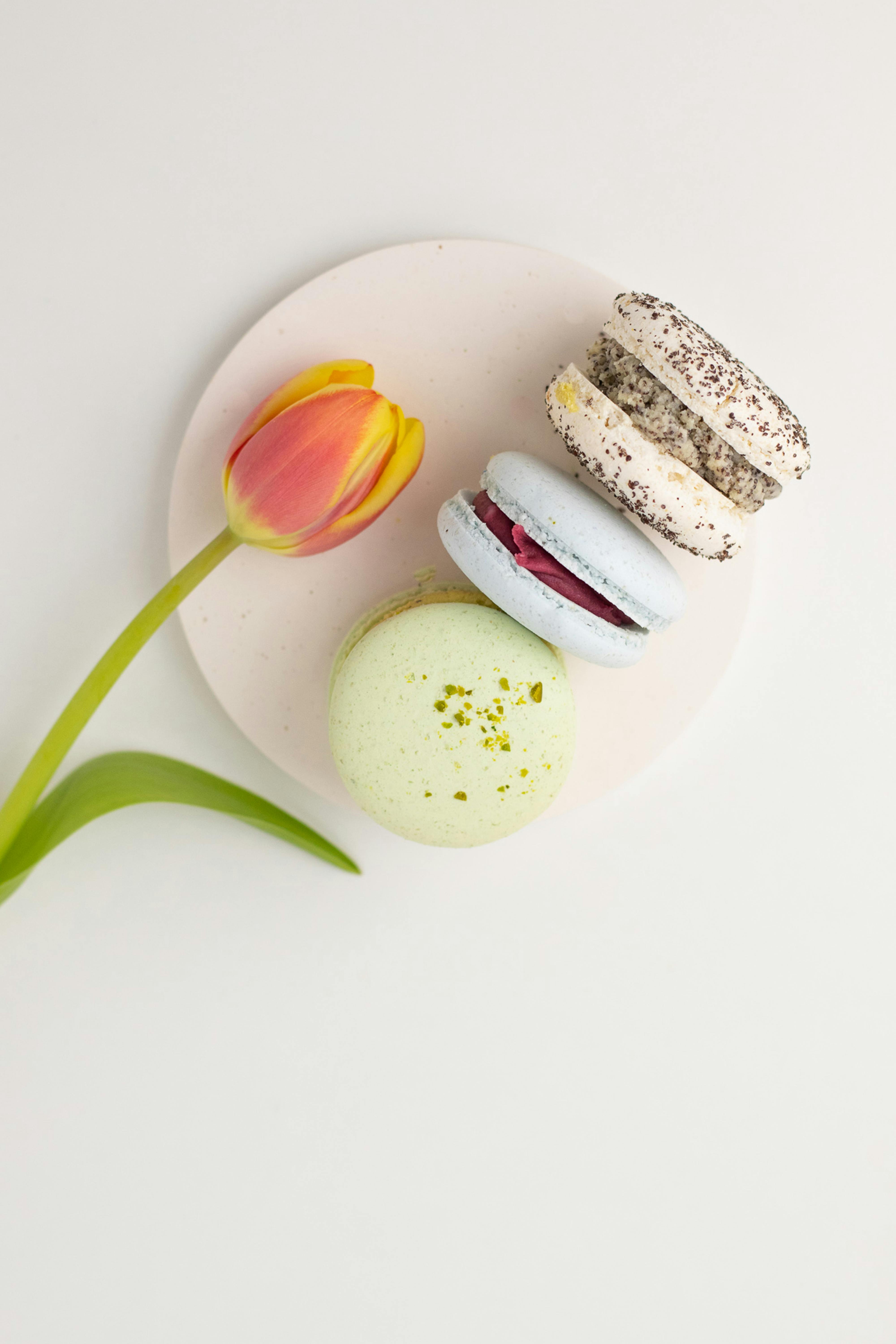 Macarons on a Plate · Free Stock Photo