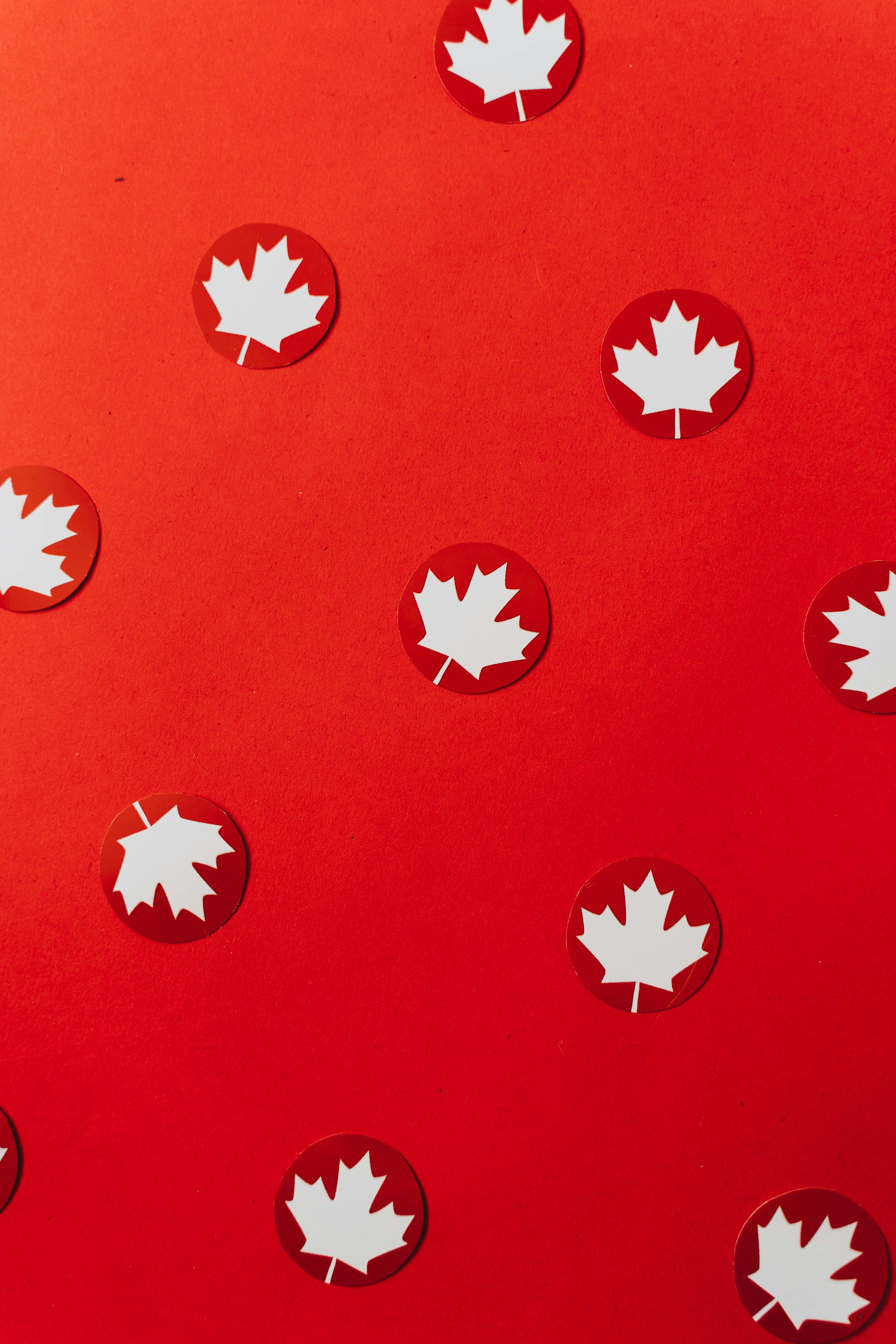 Maple Leaves Cut Outs on Red Surface · Free Stock Photo