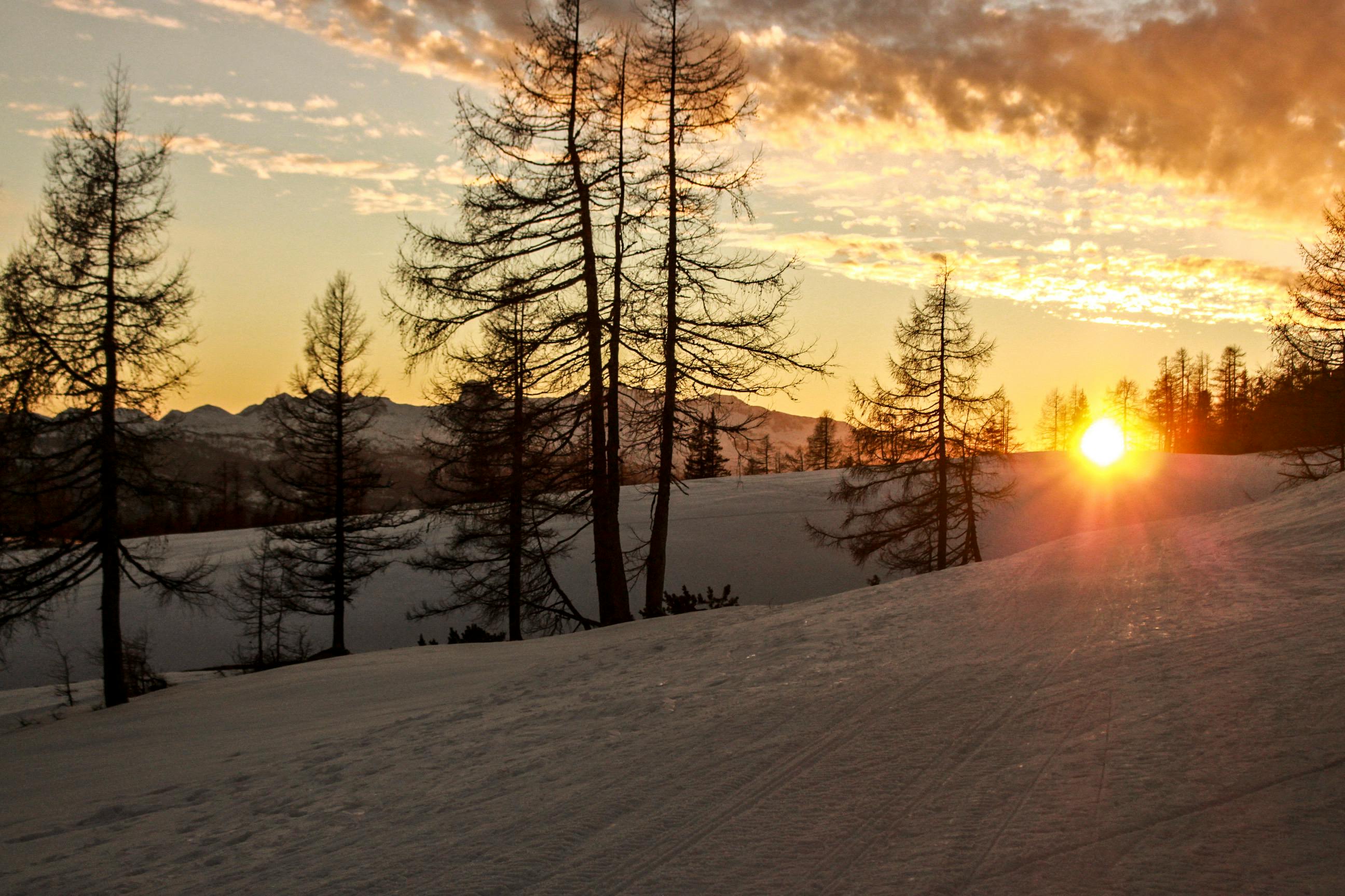 Photo of Snow Covered Ground During Sunrise · Free Stock Photo