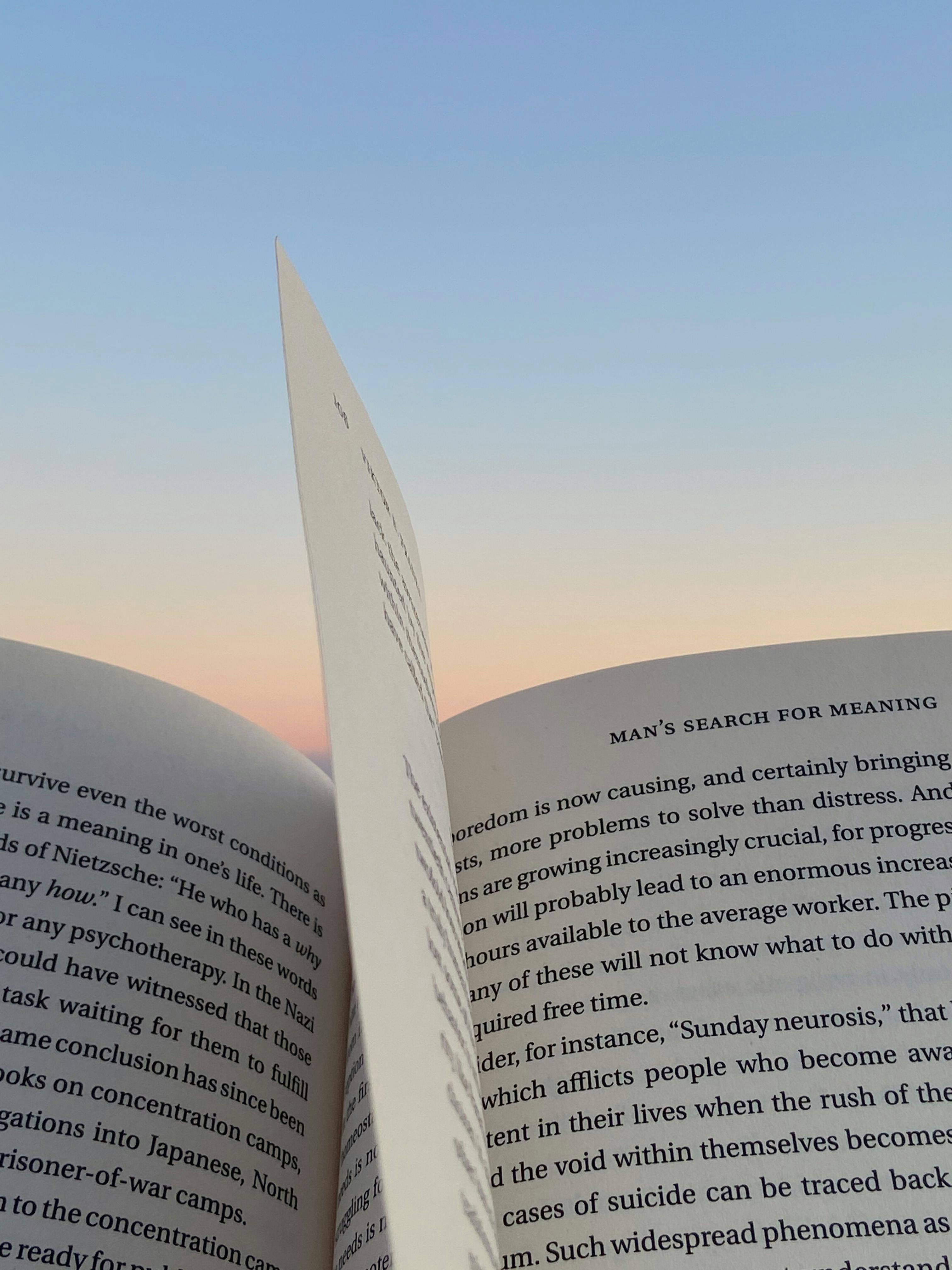 Photography of Book Page · Free Stock Photo