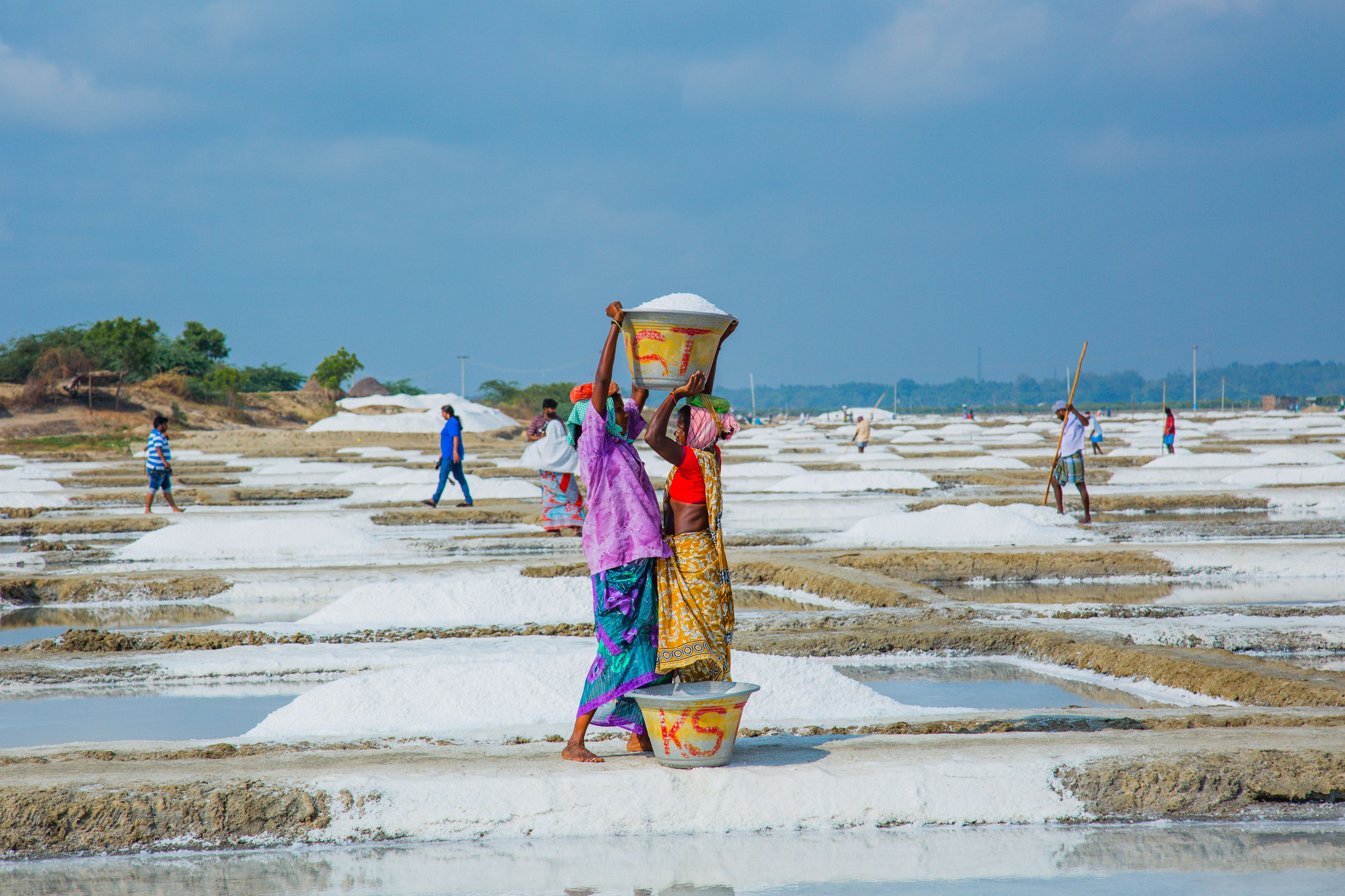 Salt Farms Photos, Download The BEST Free Salt Farms Stock Photos & HD ...