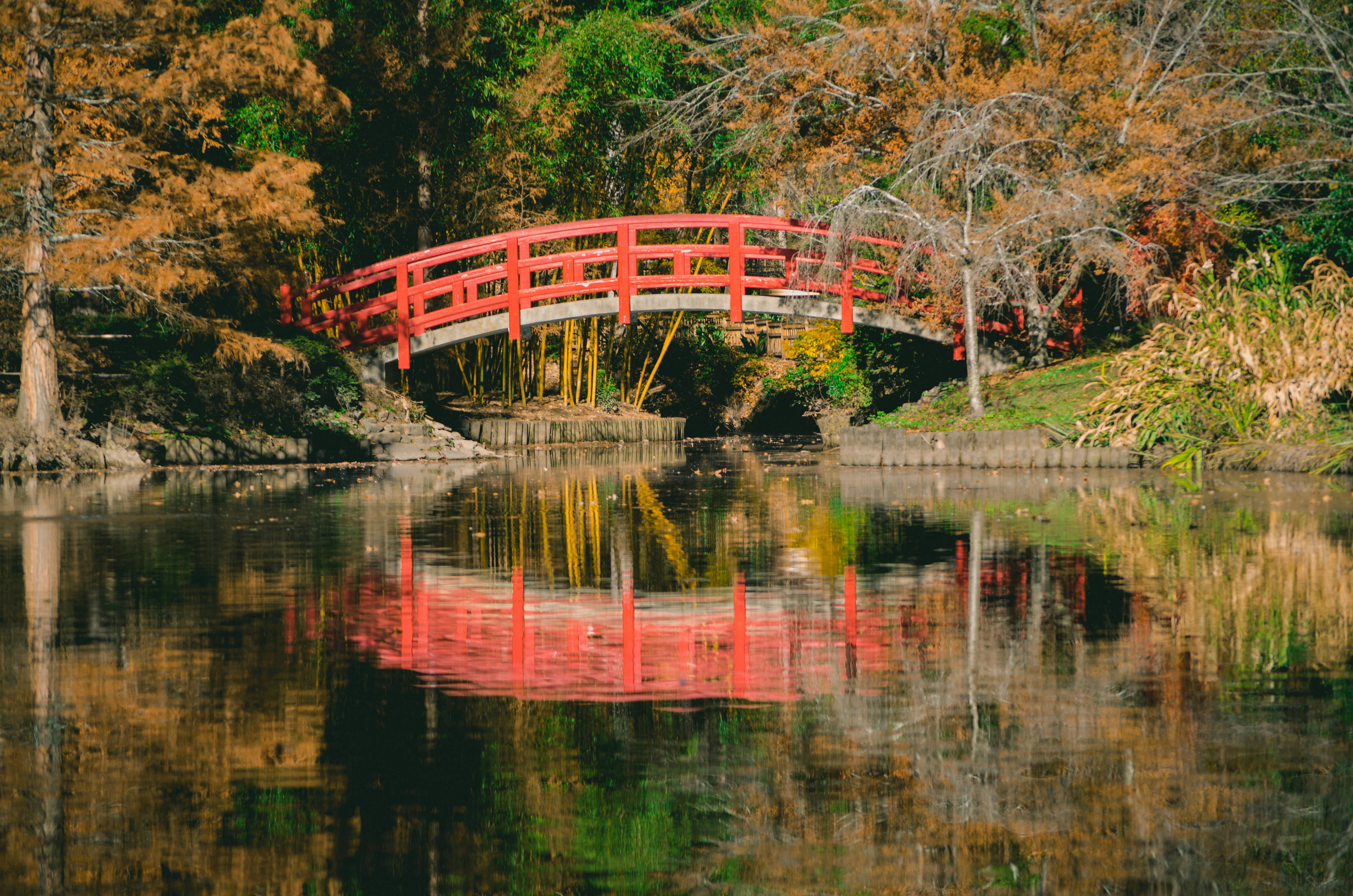 Orange and White Bridge · Free Stock Photo
