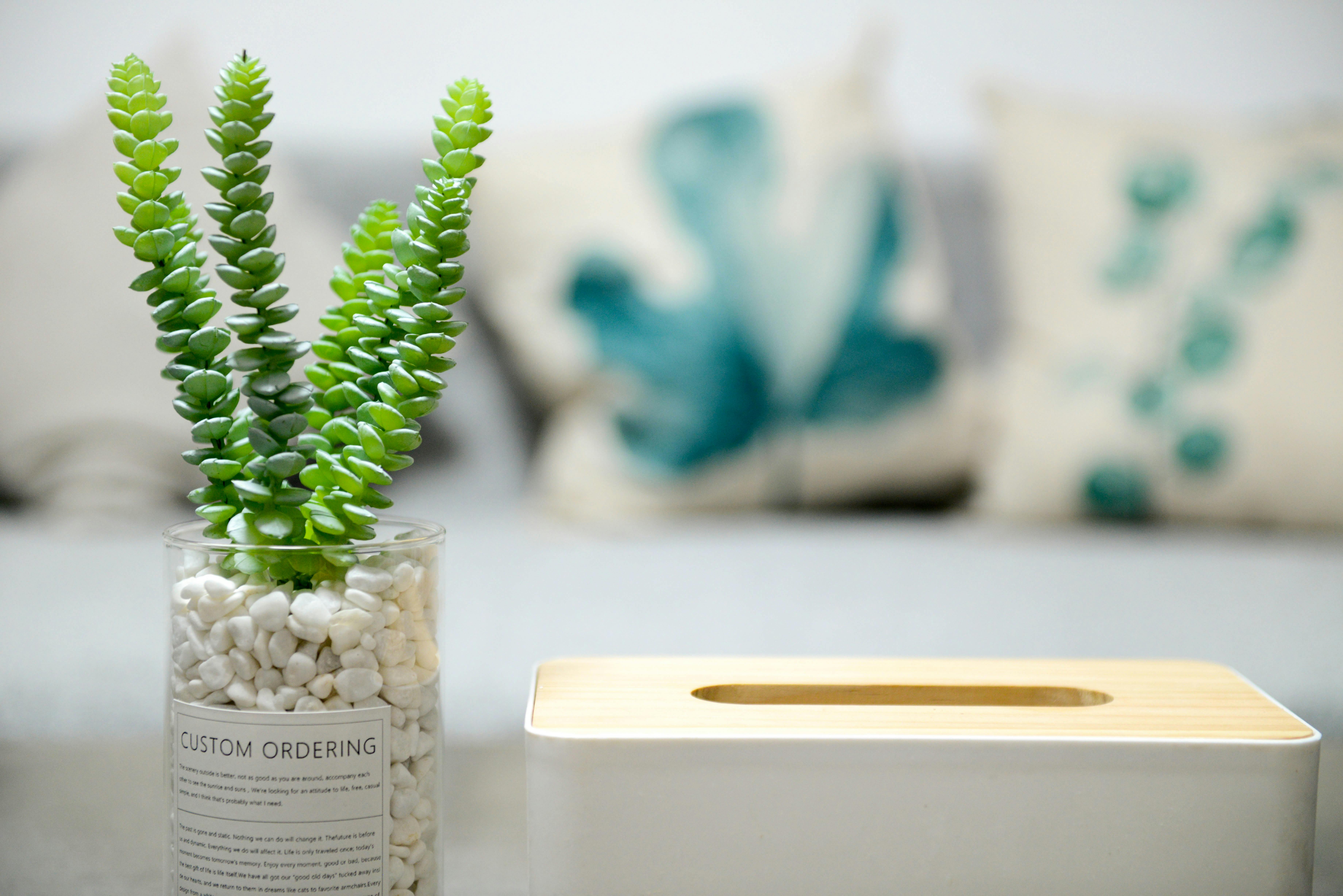 800+ Foto Tissue Histology Terbaik · Unduh Gratis 100% · Foto Stok Pexels