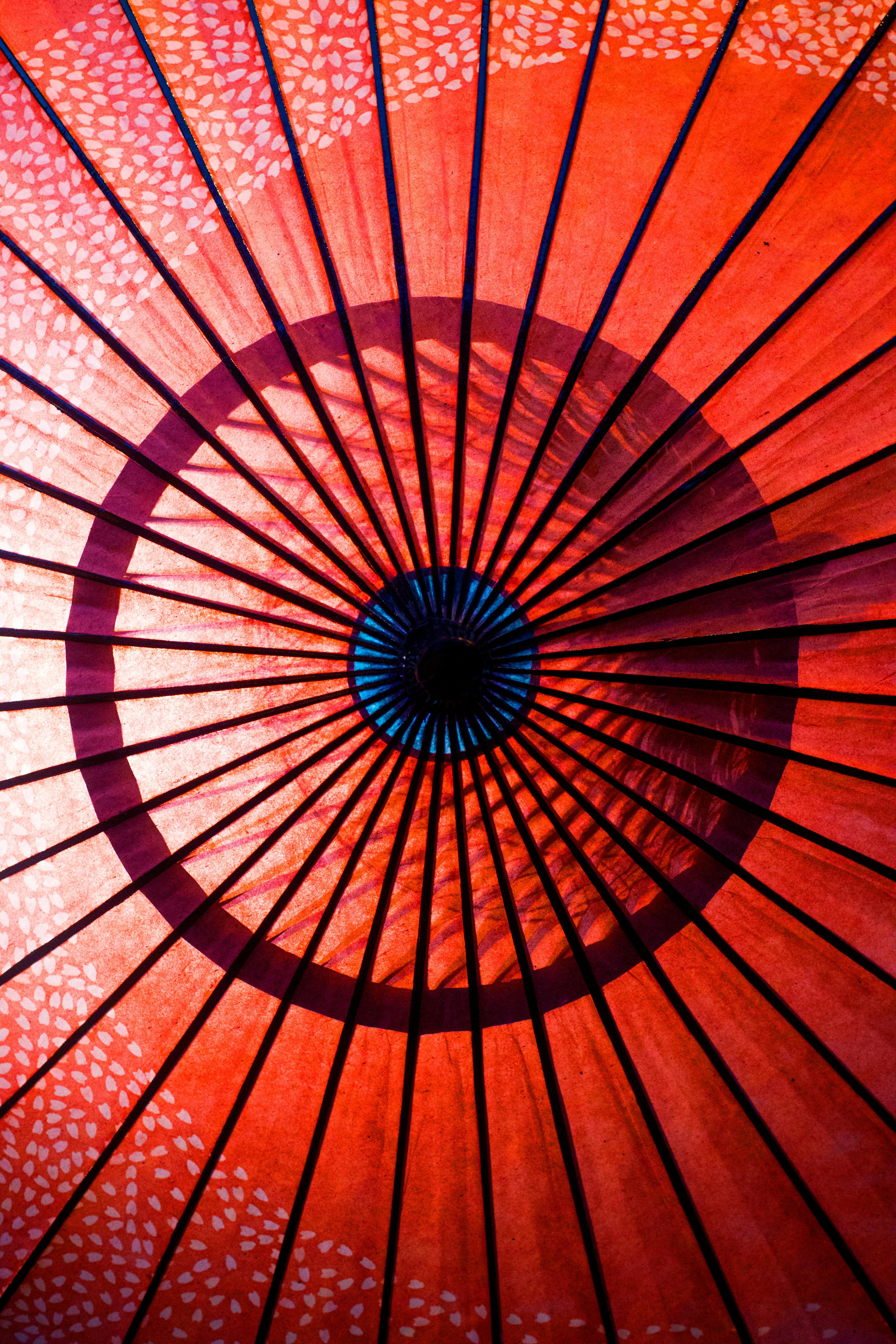 Red Umbrella · Free Stock Photo