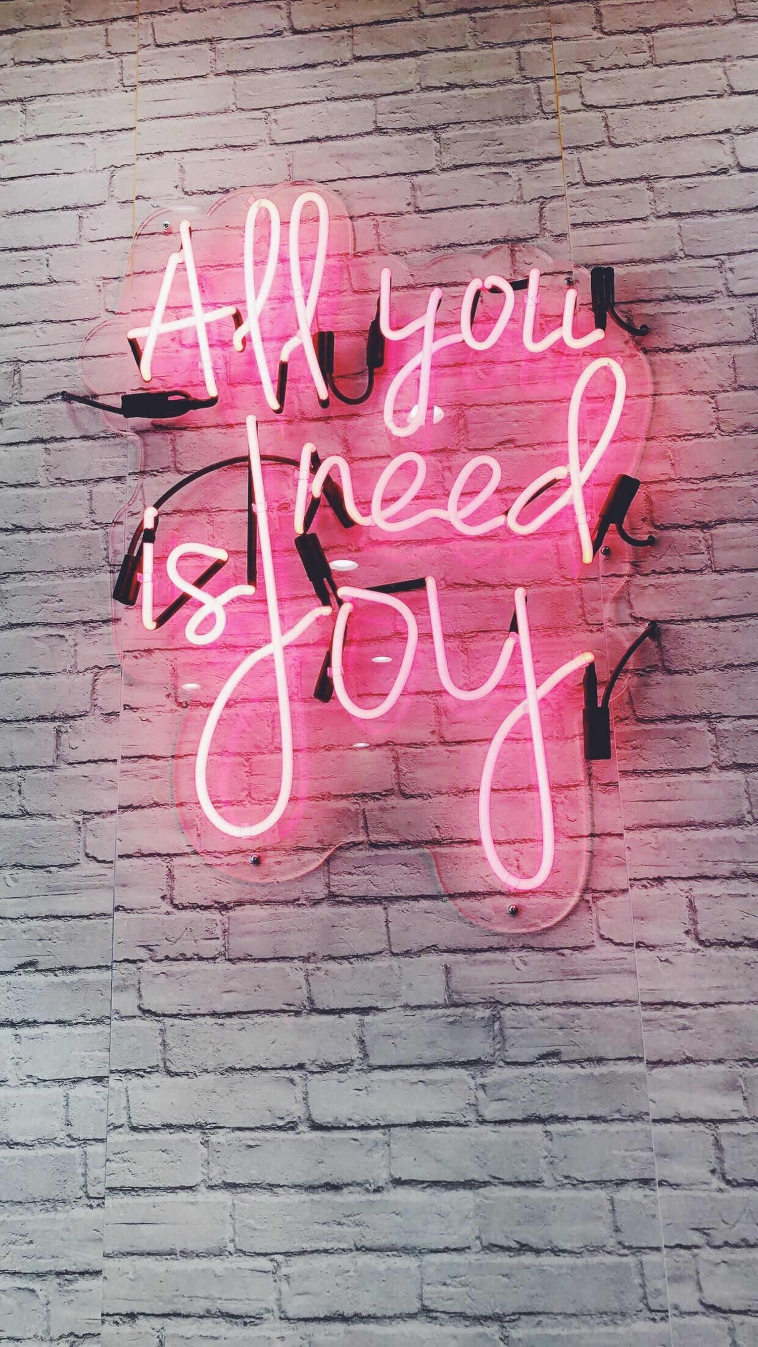 A Person Holding a Neon Sign · Free Stock Photo