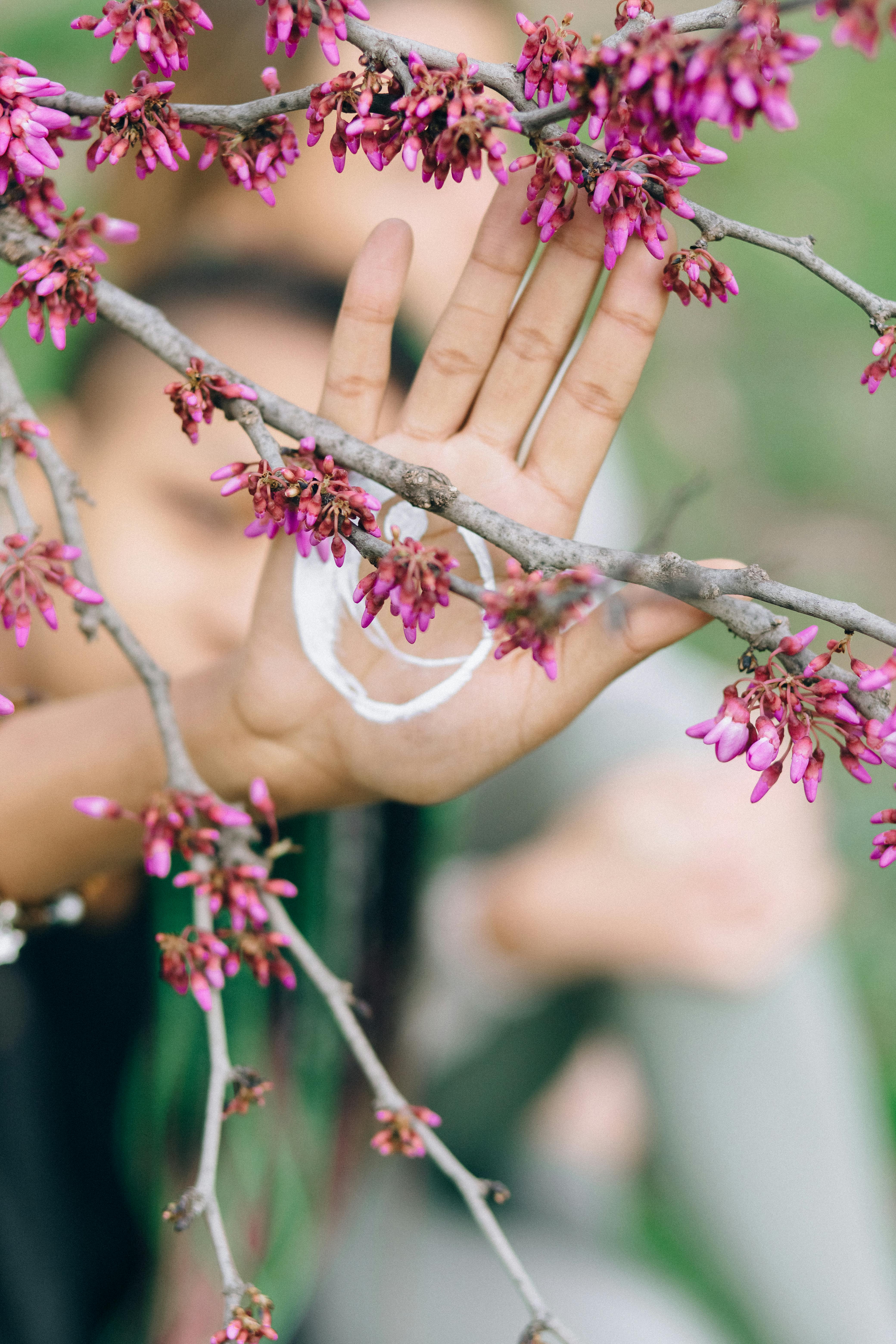 Pinky Blinders Photos, Download The BEST Free Pinky Blinders Stock ...