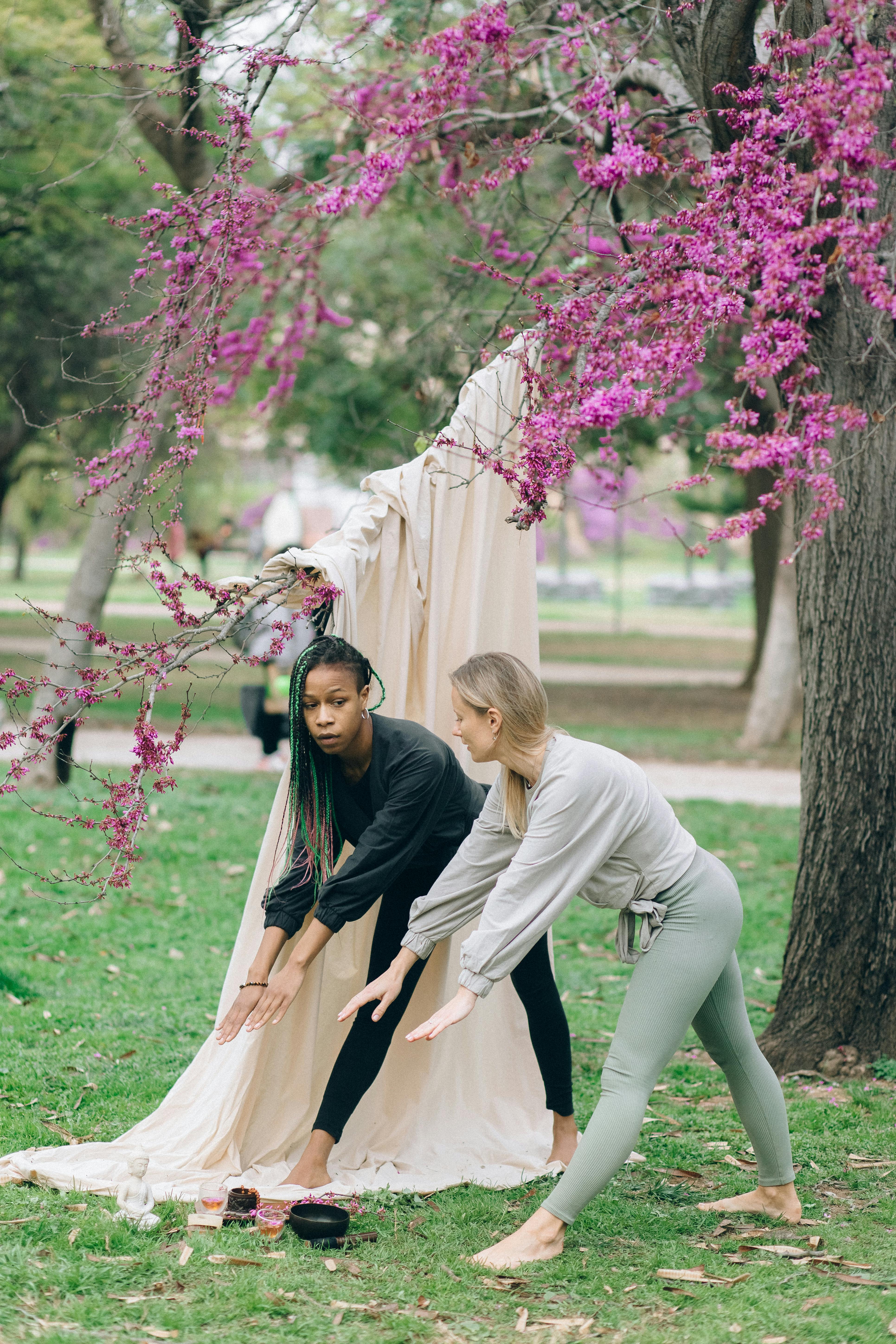 Women Stretching Together Under Pink Flowers · Free Stock Photo