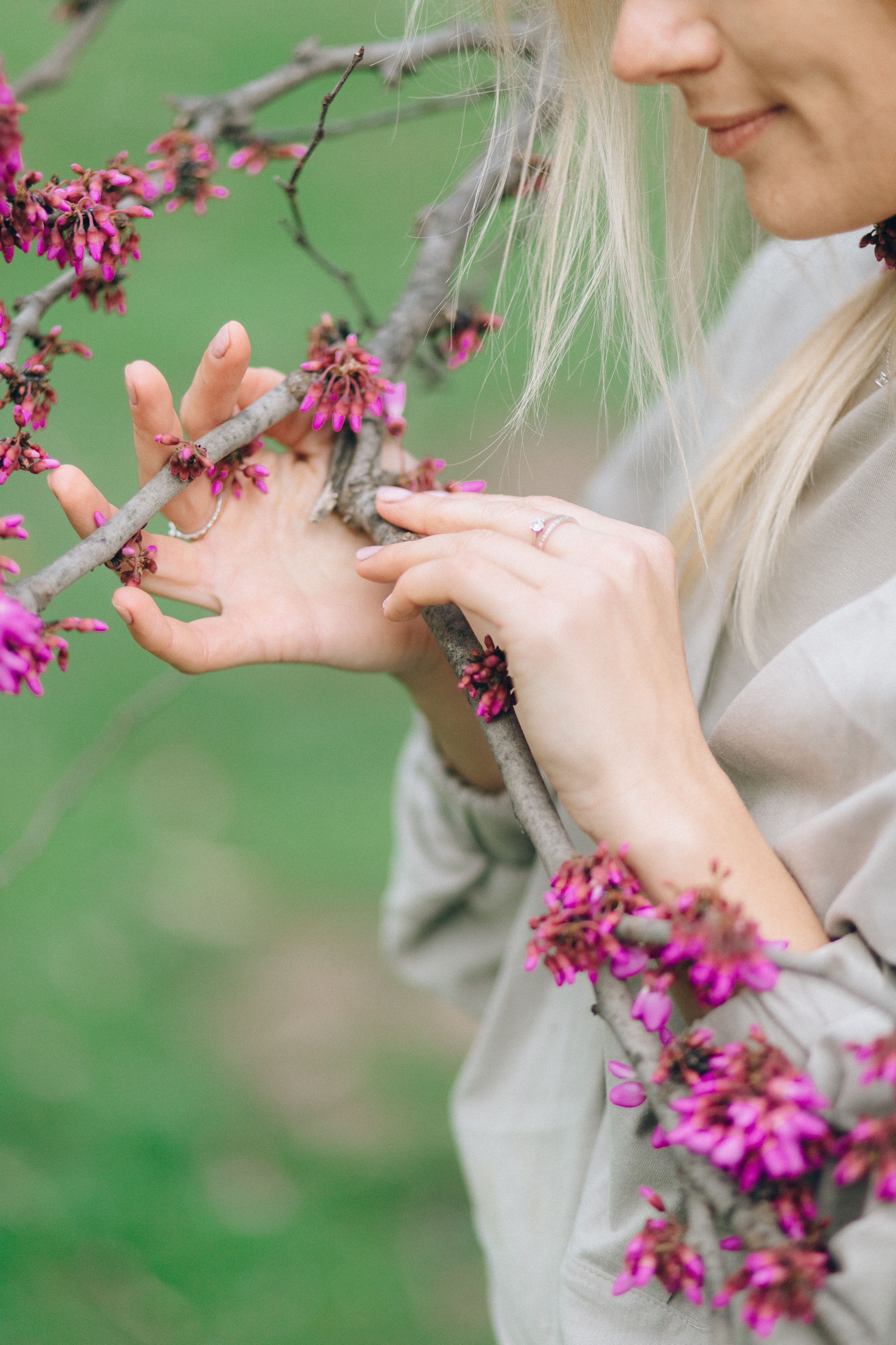 Close-up Photo of Man holding a Tree Branch · Free Stock Photo