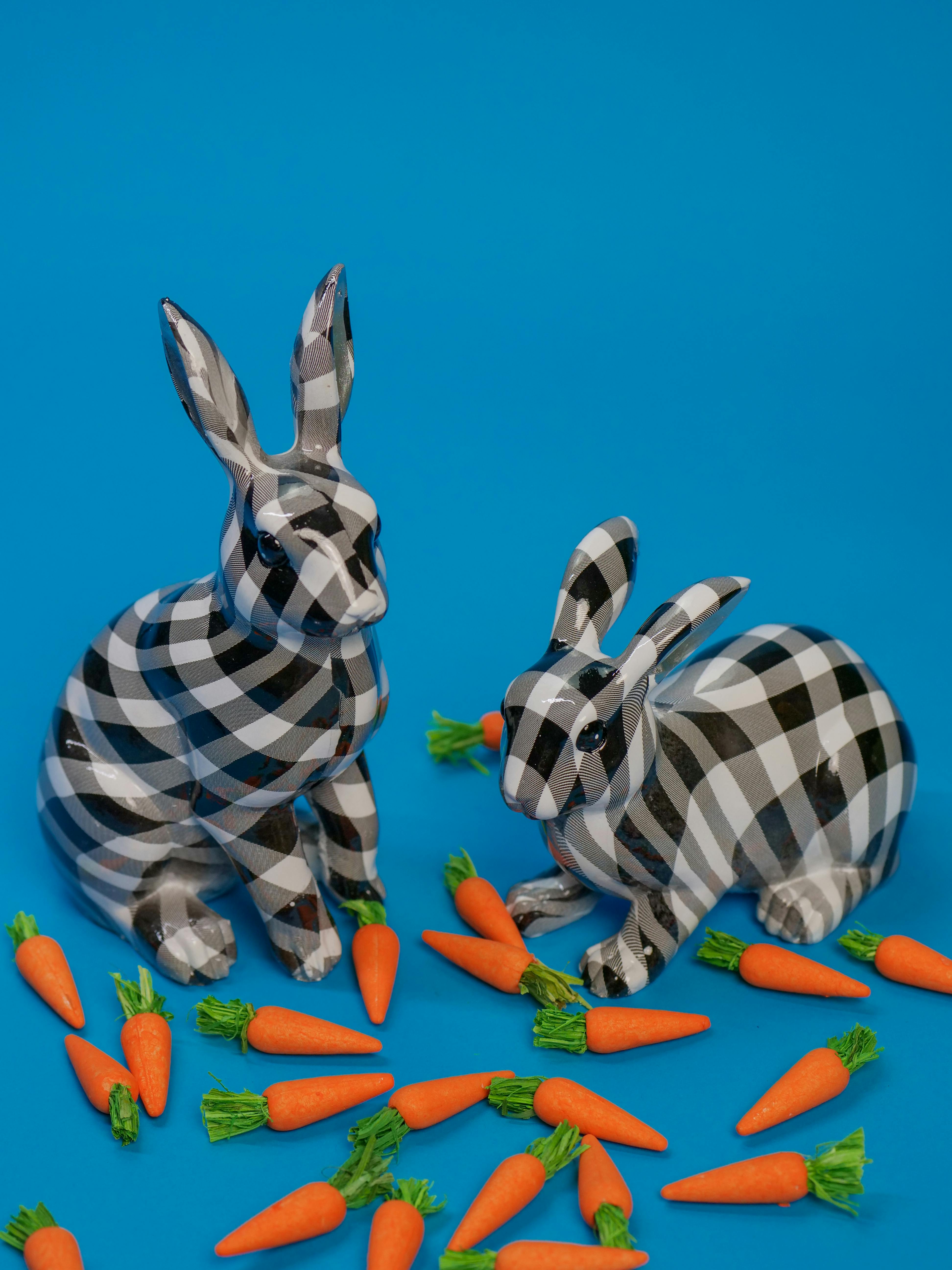 Black and White Checkered Rabbits · Free Stock Photo