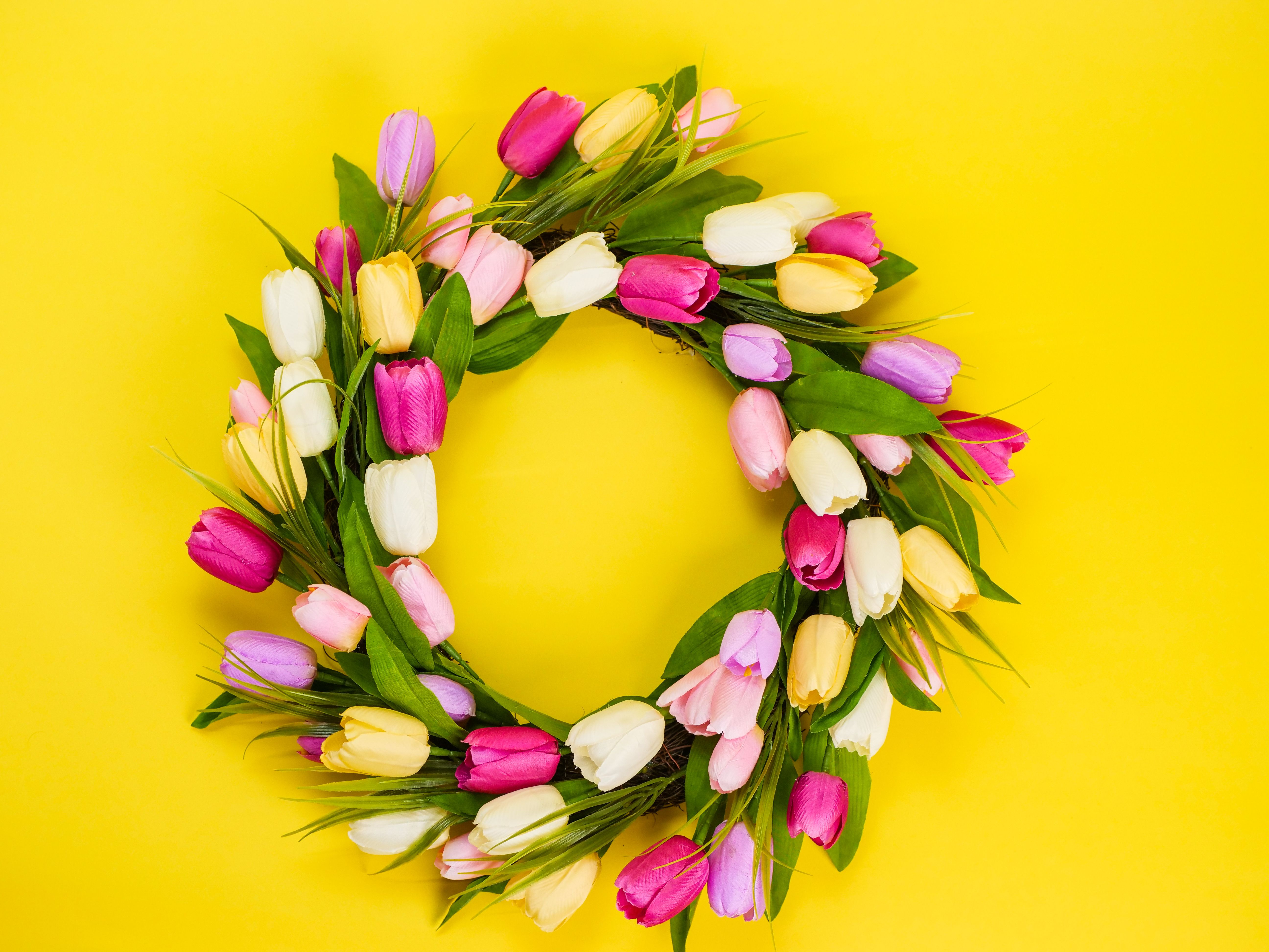 Beautiful Fresh Flower Wreath · Free Stock Photo