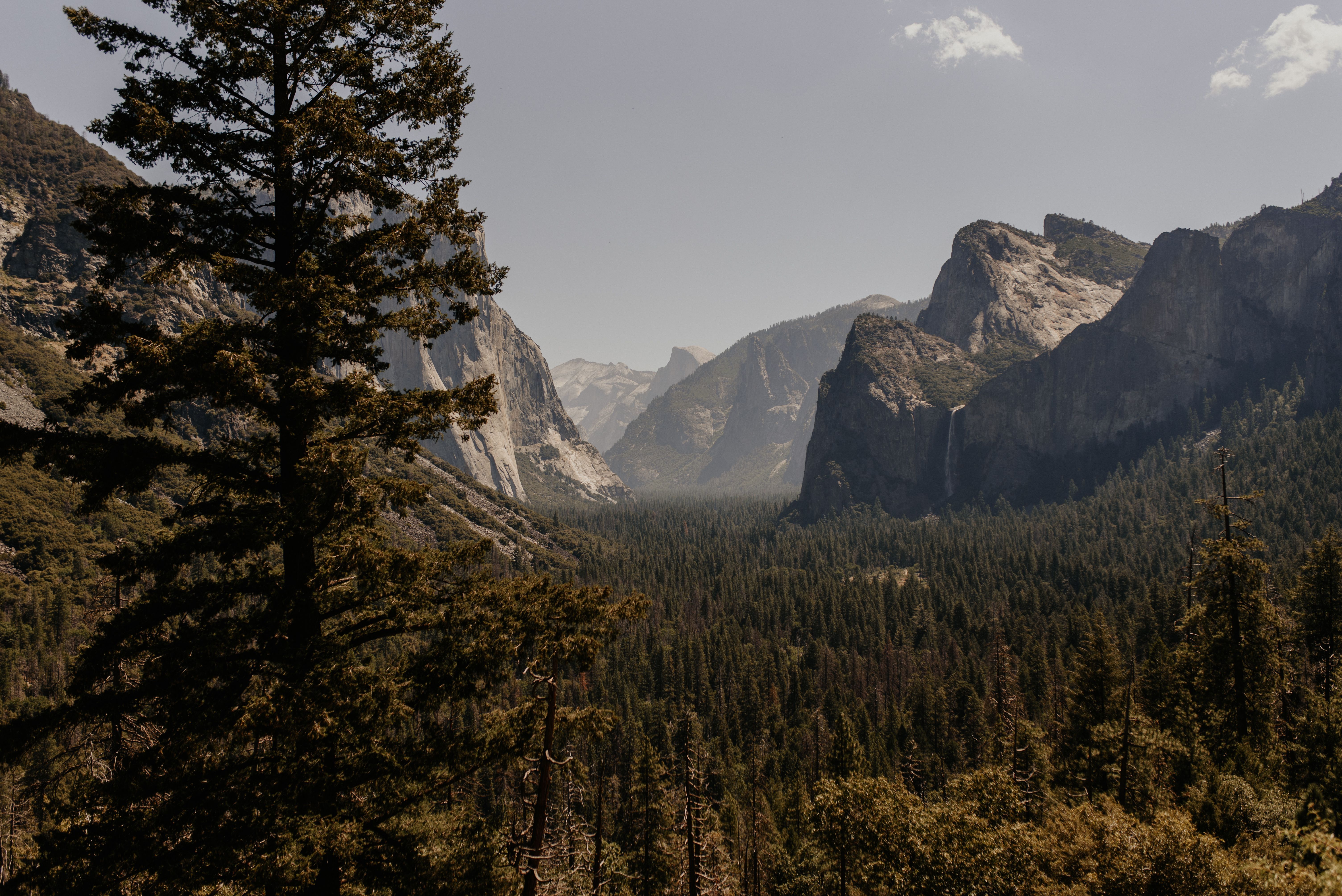 Land Between Rock Mountains Covered with Trees · Free Stock Photo