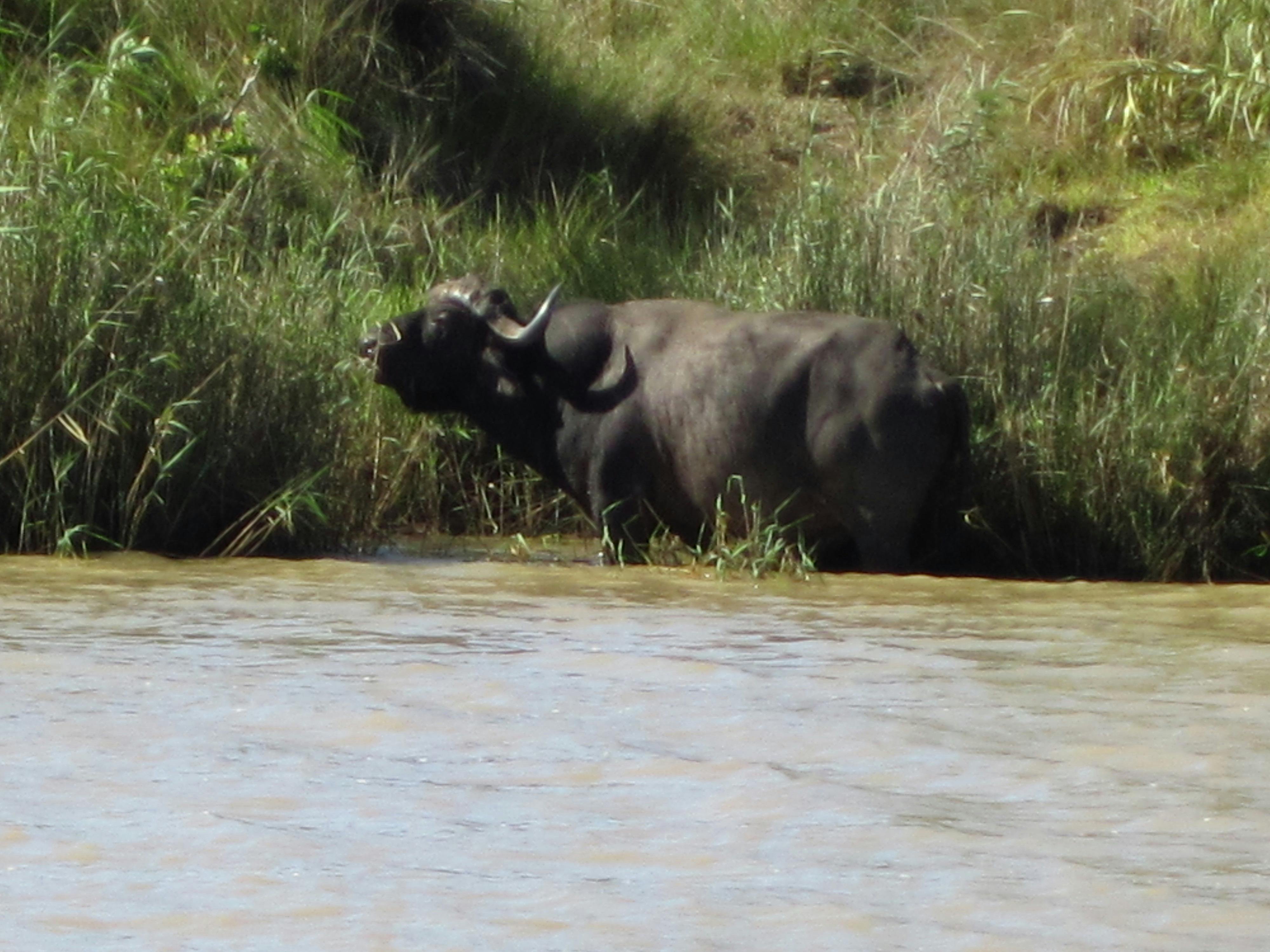 Leenna Naidoo - Photography