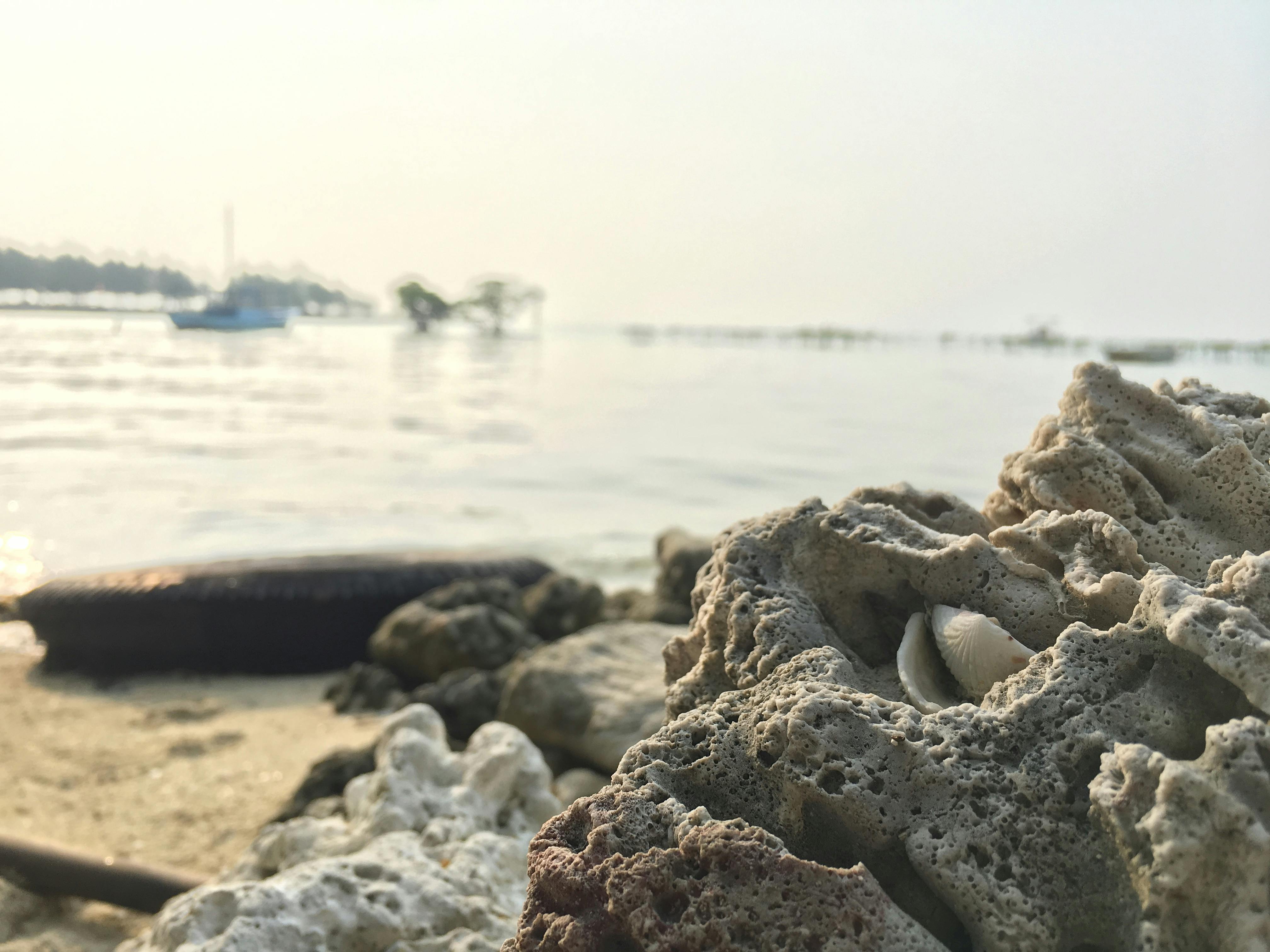 Gray Pebbles · Free Stock Photo