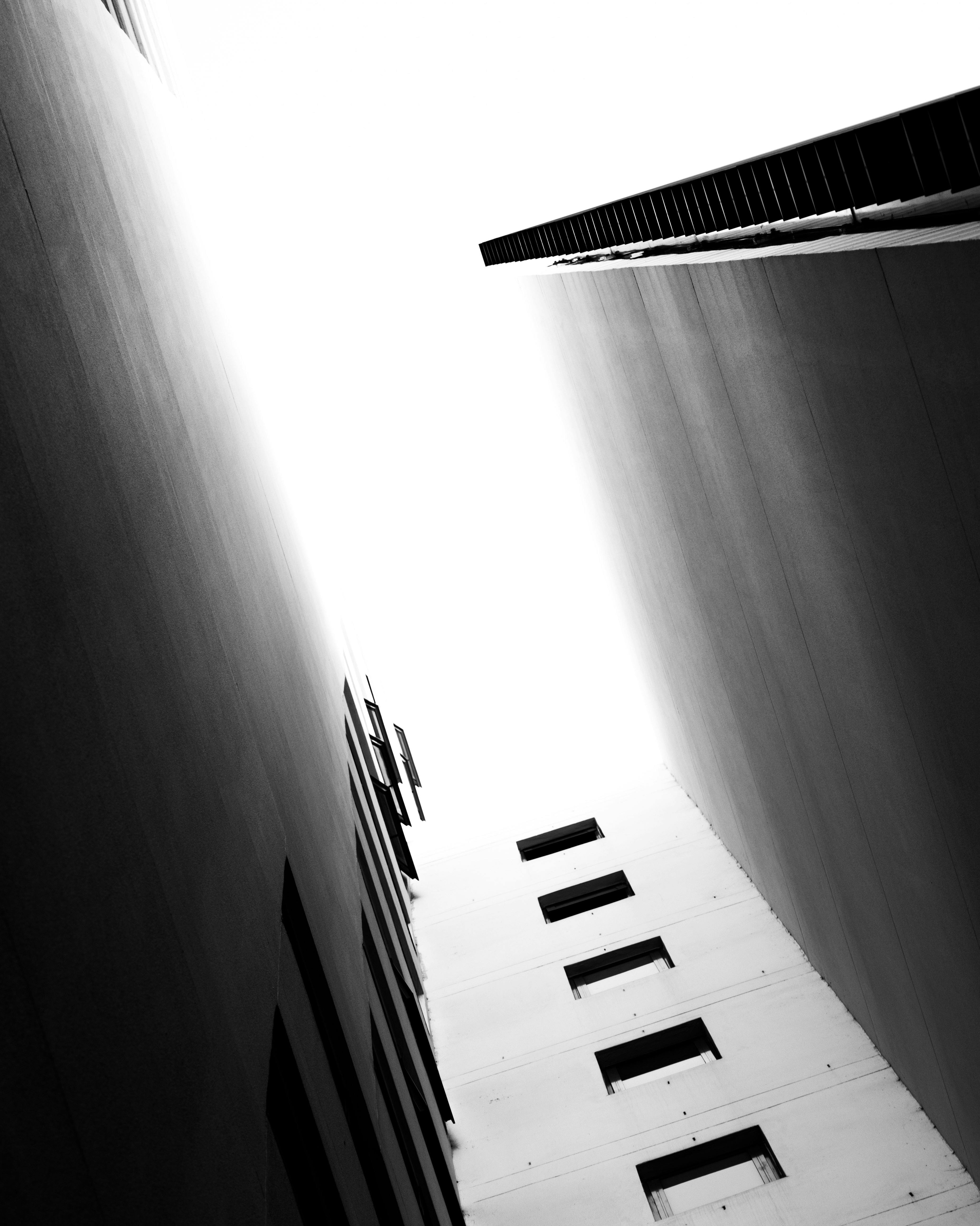 20+ Best Vs Photos · 100% Free Download · Pexels Stock Photos