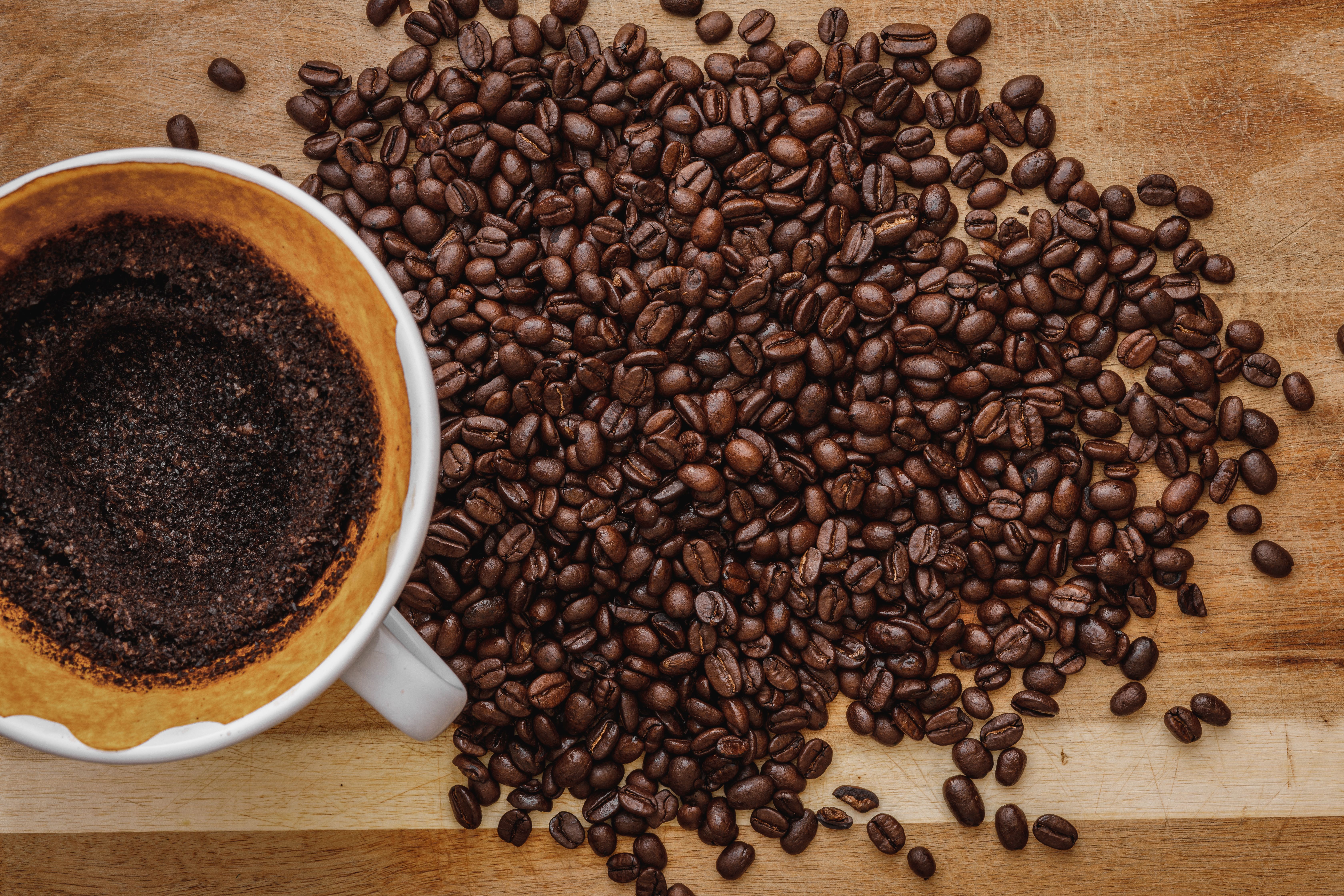 Close-Up Shot of a Cup of Coffee · Free Stock Photo